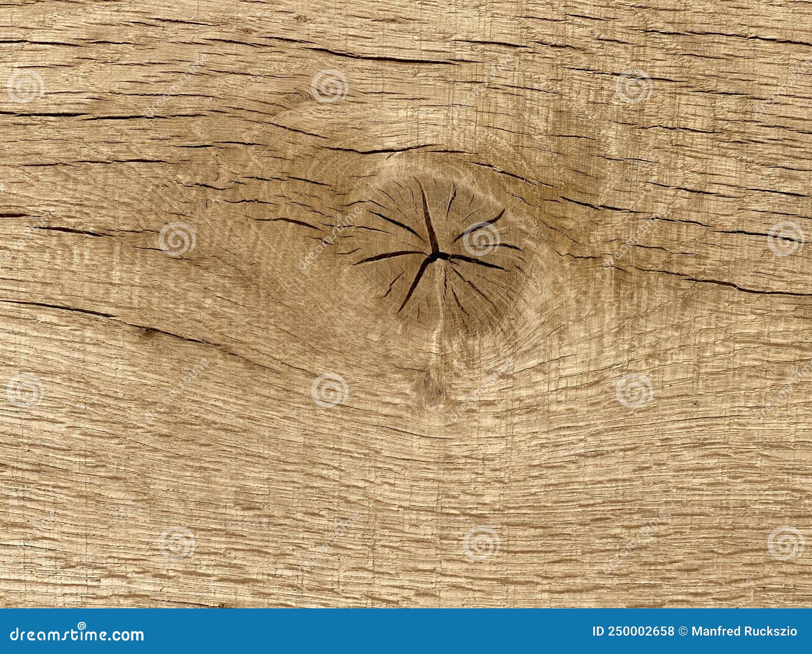 Board, knothole stock photo. Image of planks, flora - 250002658