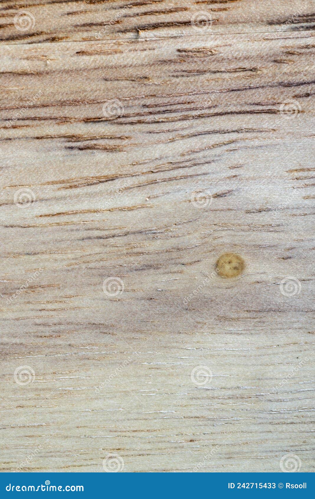 Hevea Wood Texture Stock Photography | CartoonDealer.com #24924608