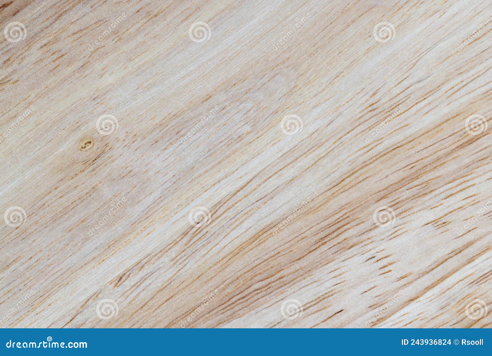 Hevea Wood Texture Stock Photography | CartoonDealer.com #24924608