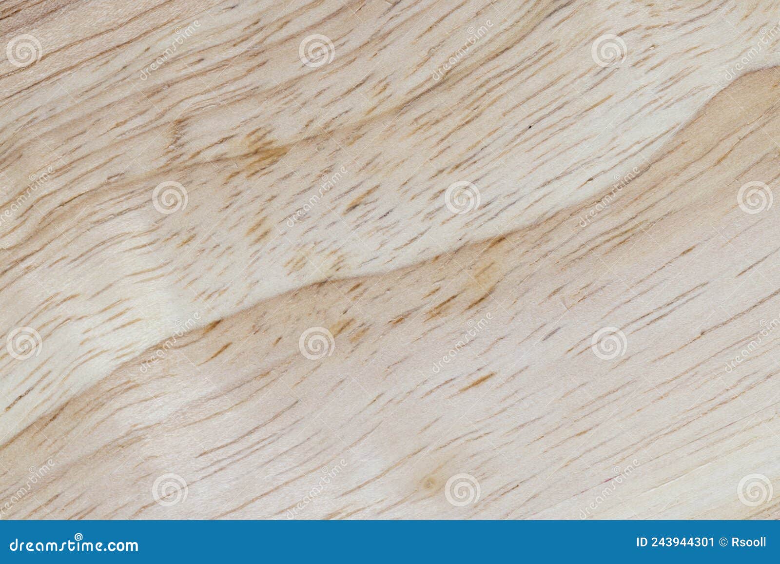 Hevea Wood Texture Stock Photography | CartoonDealer.com #24924608