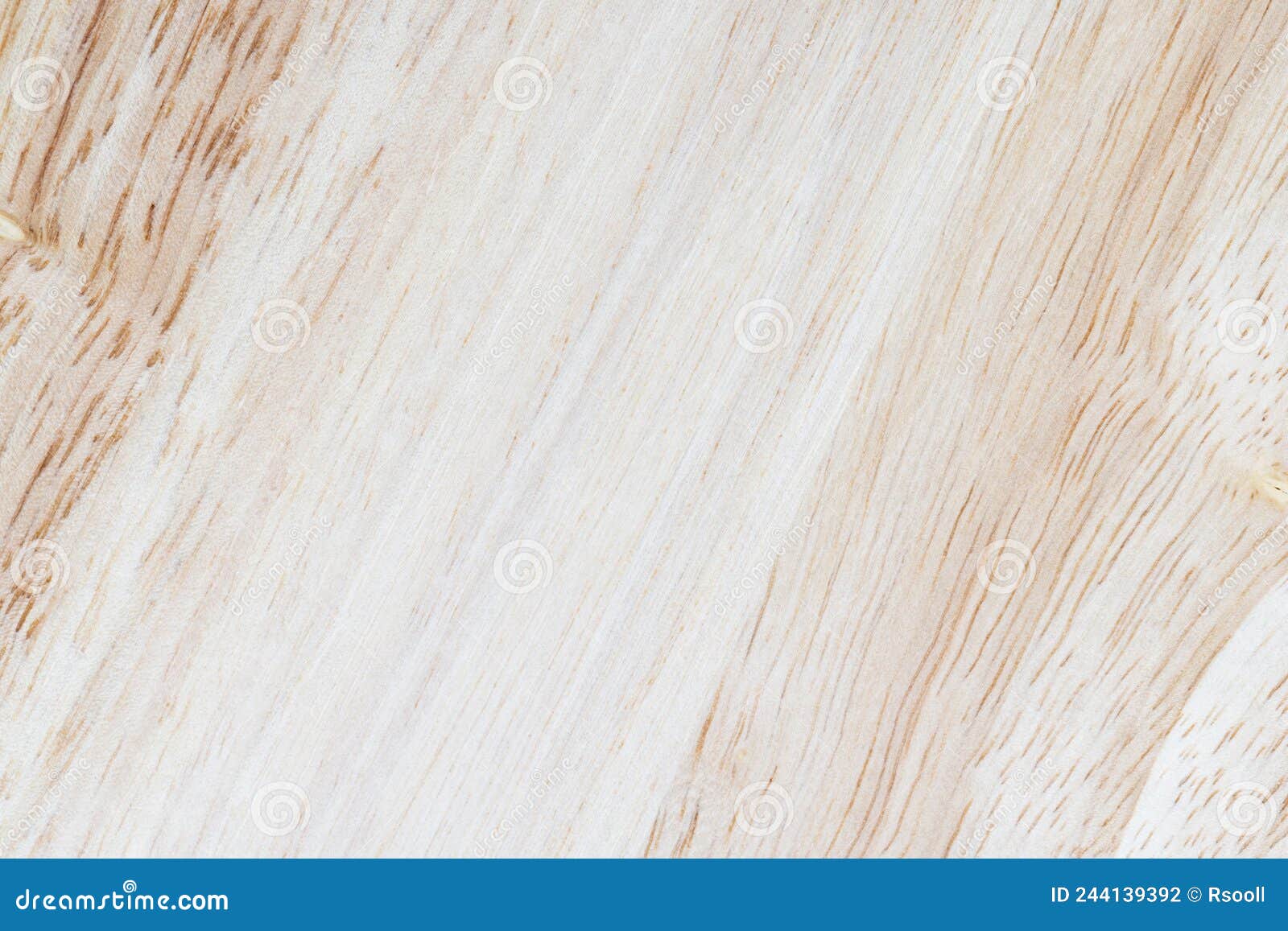 Hevea Wood Texture Stock Photography | CartoonDealer.com #24924608