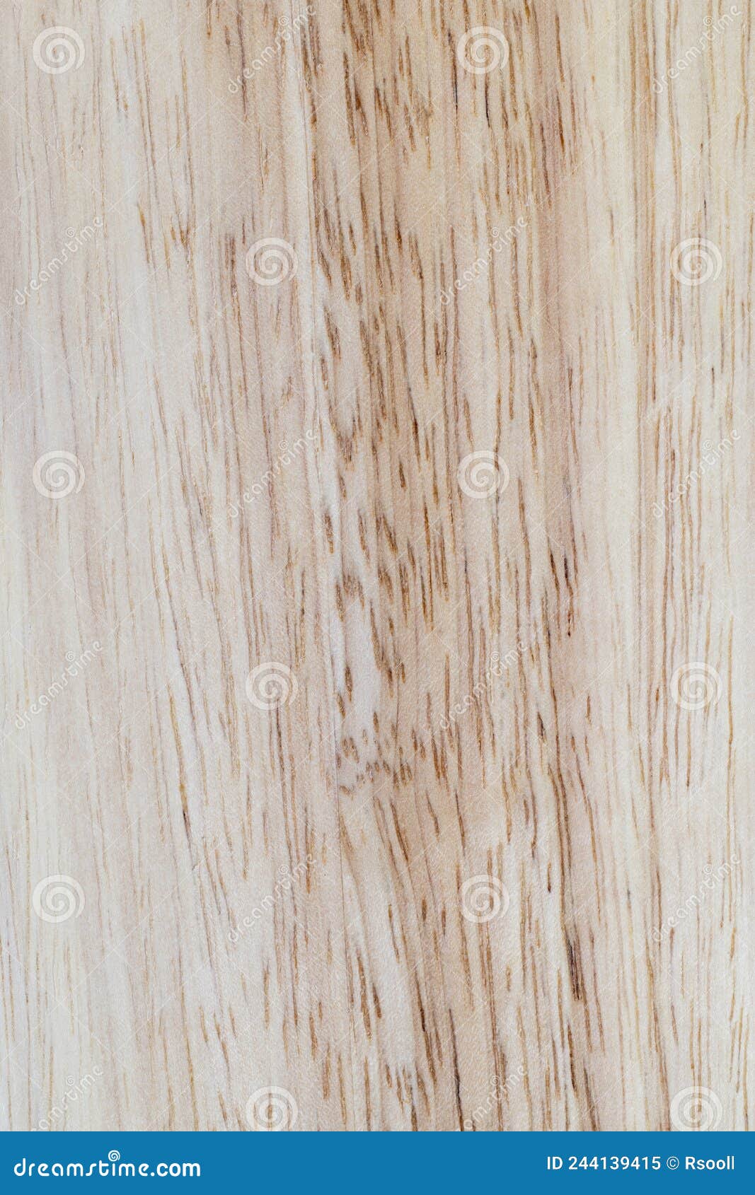 A board made of hevea wood stock image. Image of plant - 244139415