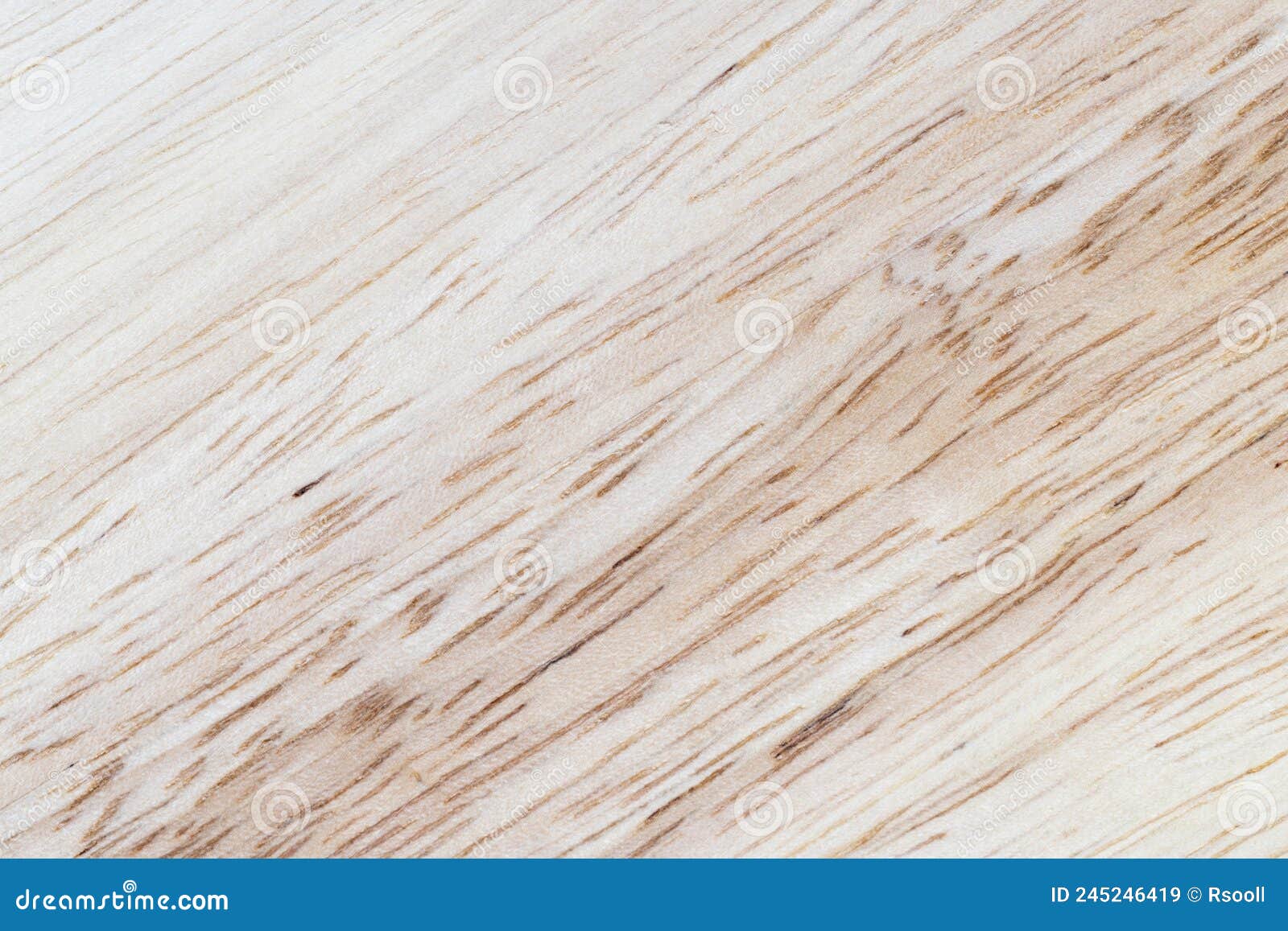 Hevea Wood Texture Stock Photography | CartoonDealer.com #24924608