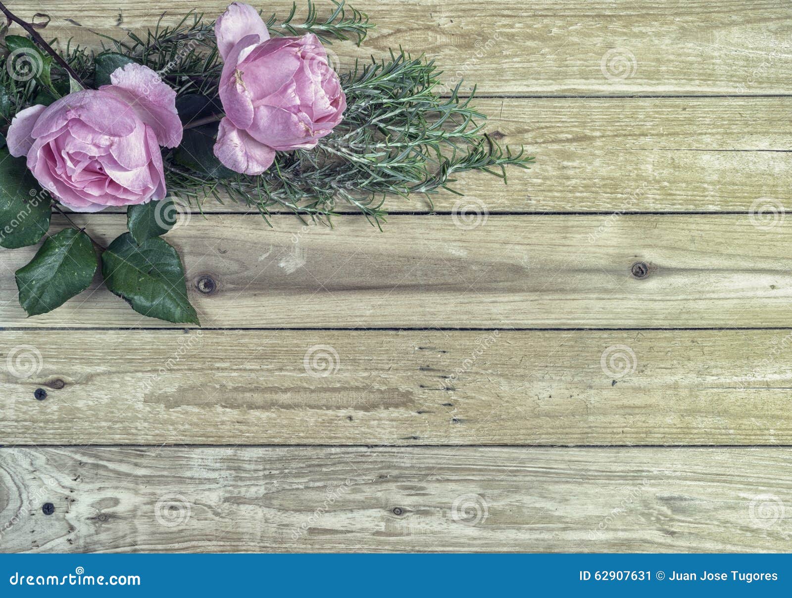Board with roses stock image. Image of flower, romantic - 62907631