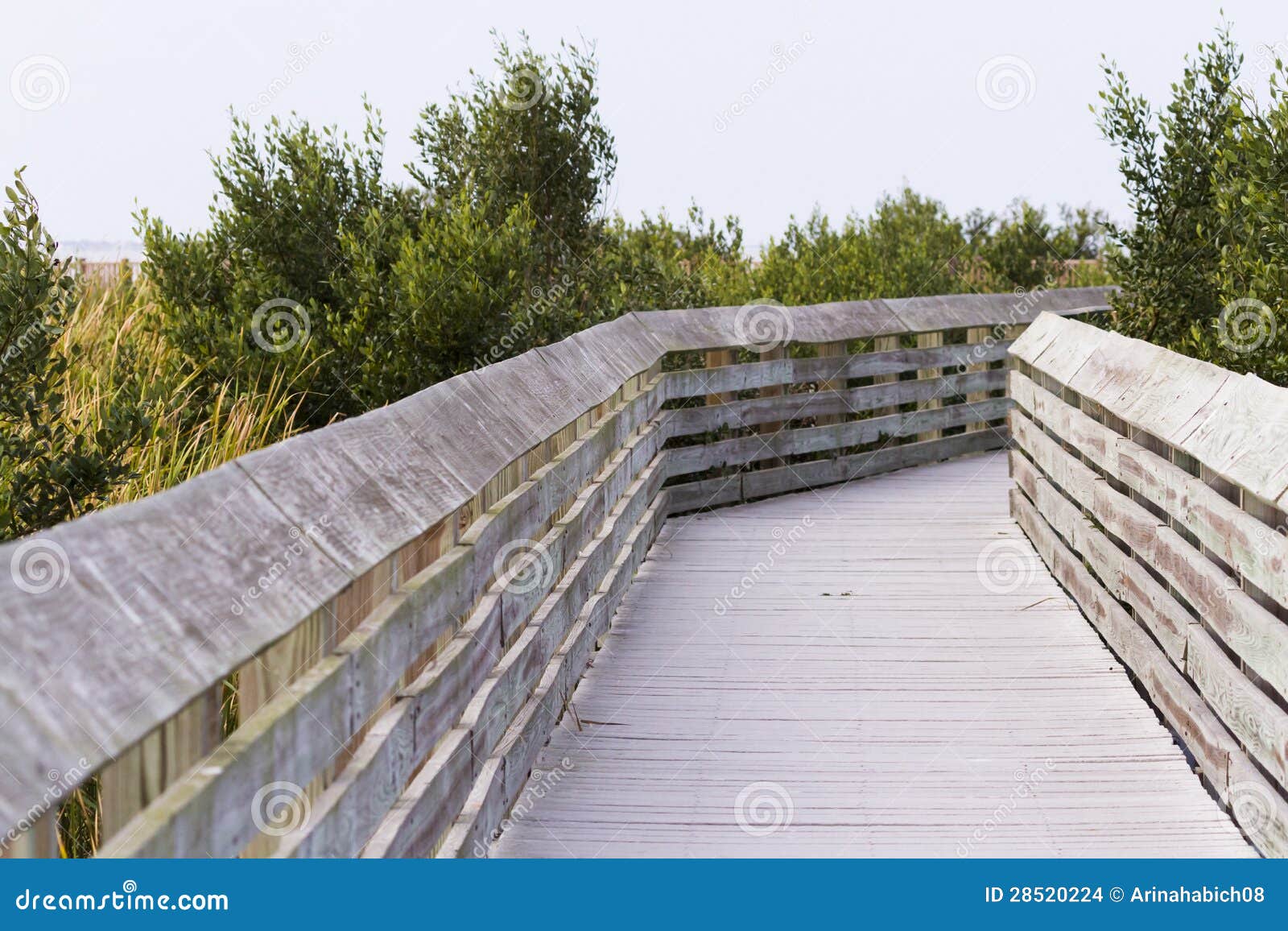 Board walk stock photo. Image of board, beach, berds - 28520224