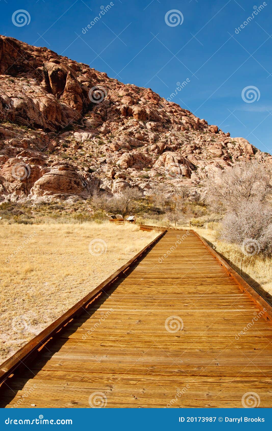 Board Walking Trail through Desert Stock Image - Image of rocky, hill ...