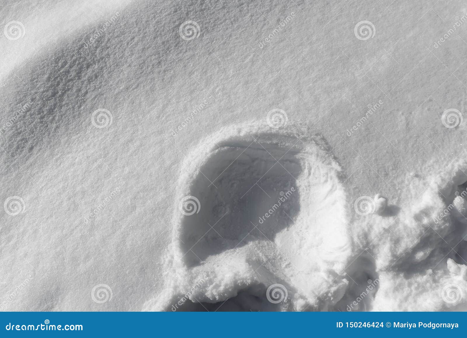 Boarded the Snow, Imprinted on the Fluffy Fresh White Snow Snow Stock ...