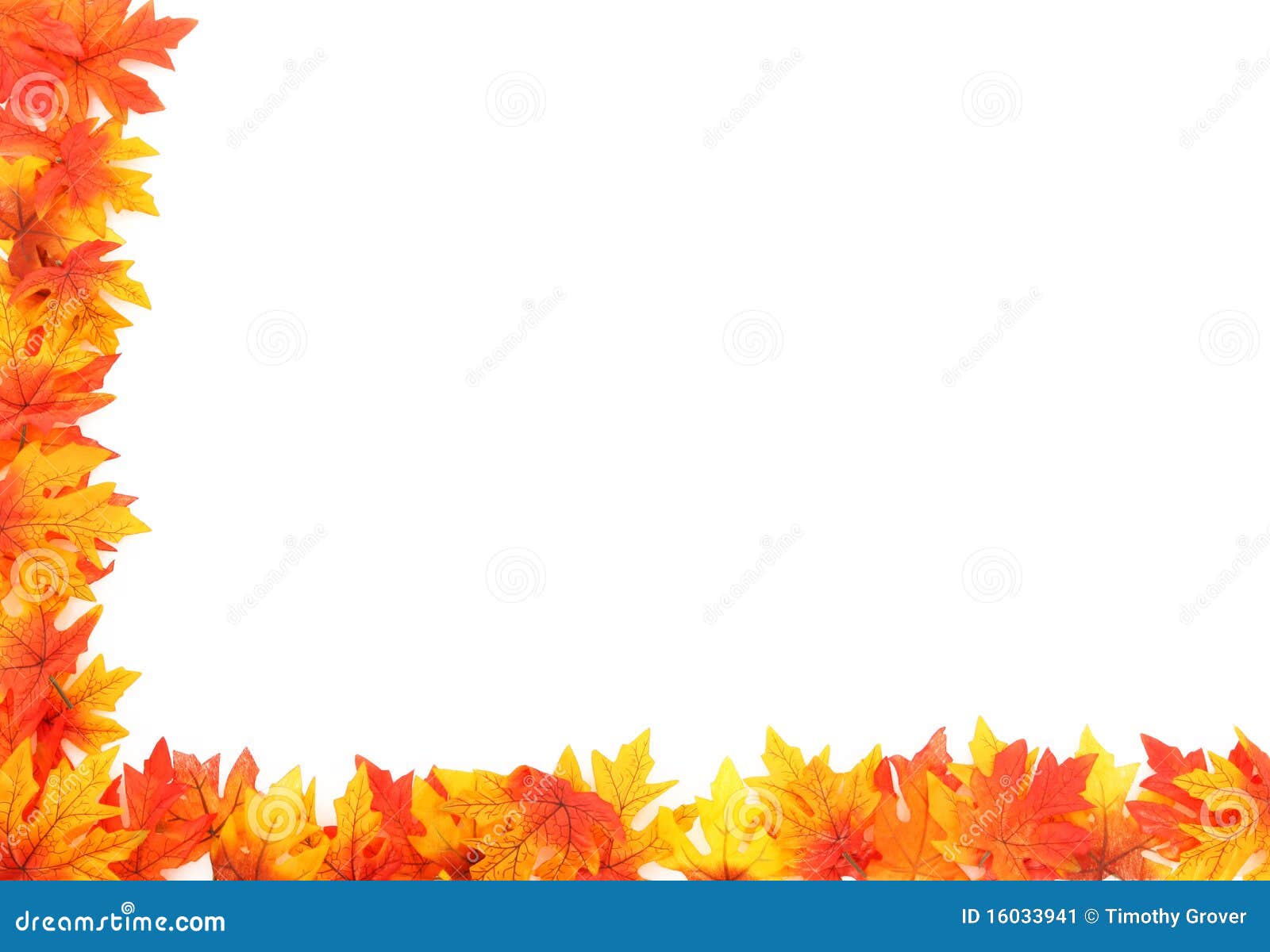 Boarder with Leaves stock image. Image of fall, yellow - 16033941