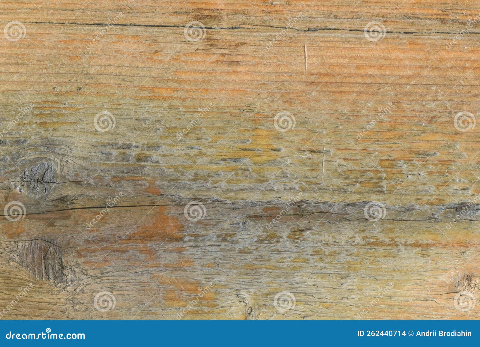 Boards, Solid Wood. Old Varnished Texture Boards Stock Photo - Image of ...