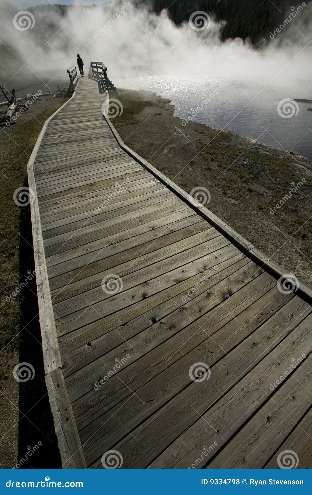 Boardwalk stock photo. Image of board, sidewalk, passage - 9334798