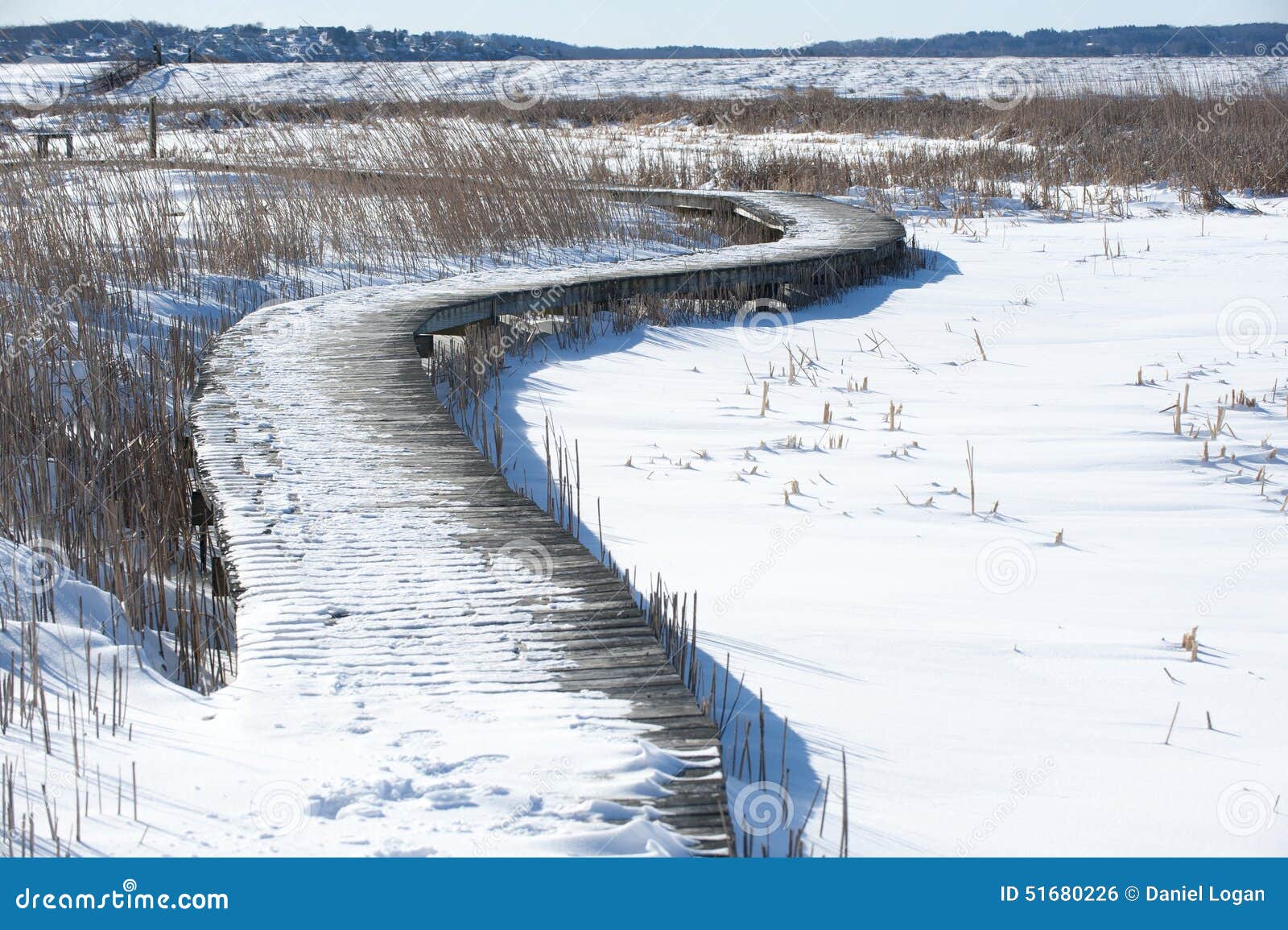 Boardwalk across marsh stock photo. Image of massachusetts - 51680226