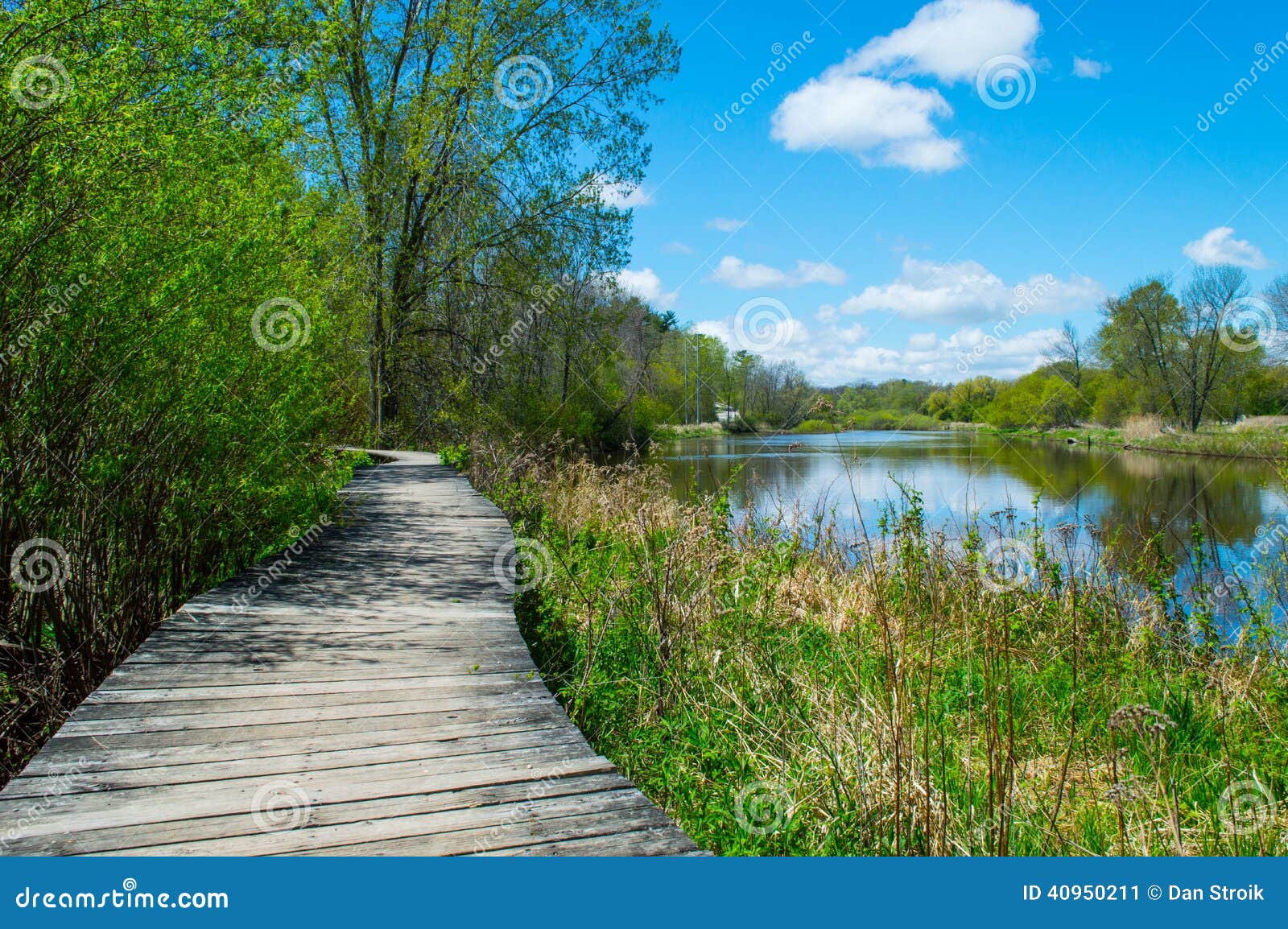 Boardwalk along the river. stock image. Image of hiking - 40950211