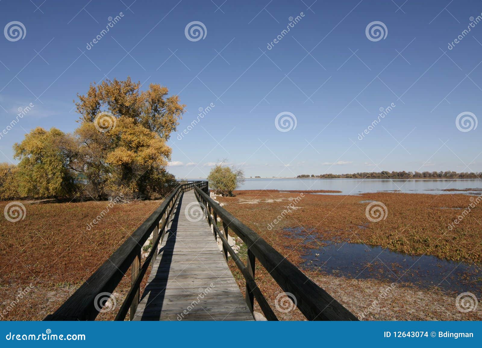 Boardwalk at Barr Lake State Park Stock Photo - Image of landscape ...