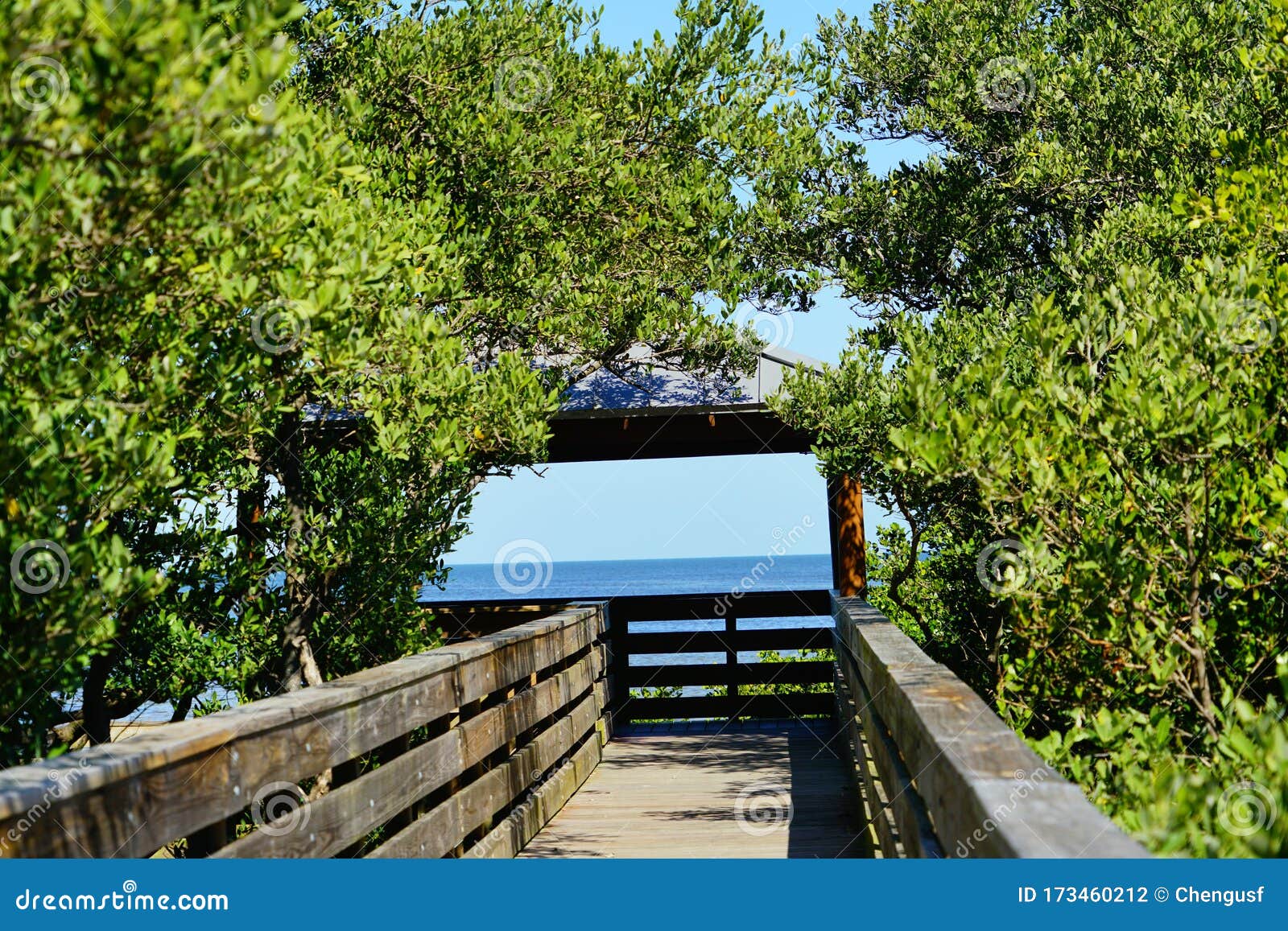 Boardwalk Crossing the Swamp Stock Photo - Image of park, curve: 173460212