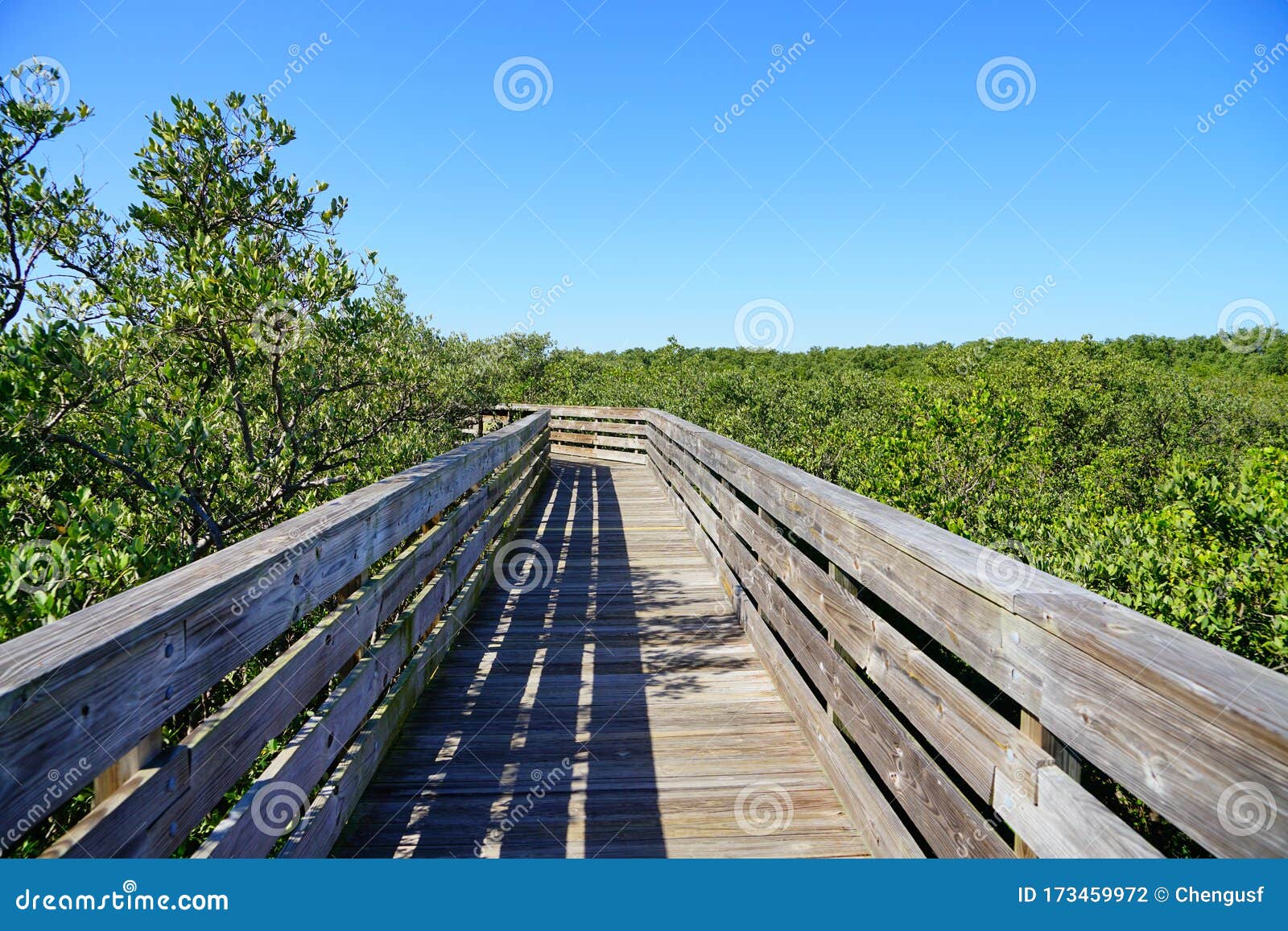 Boardwalk Crossing The Salt Ponds And Marshes Of Alviso Marsh Royalty ...