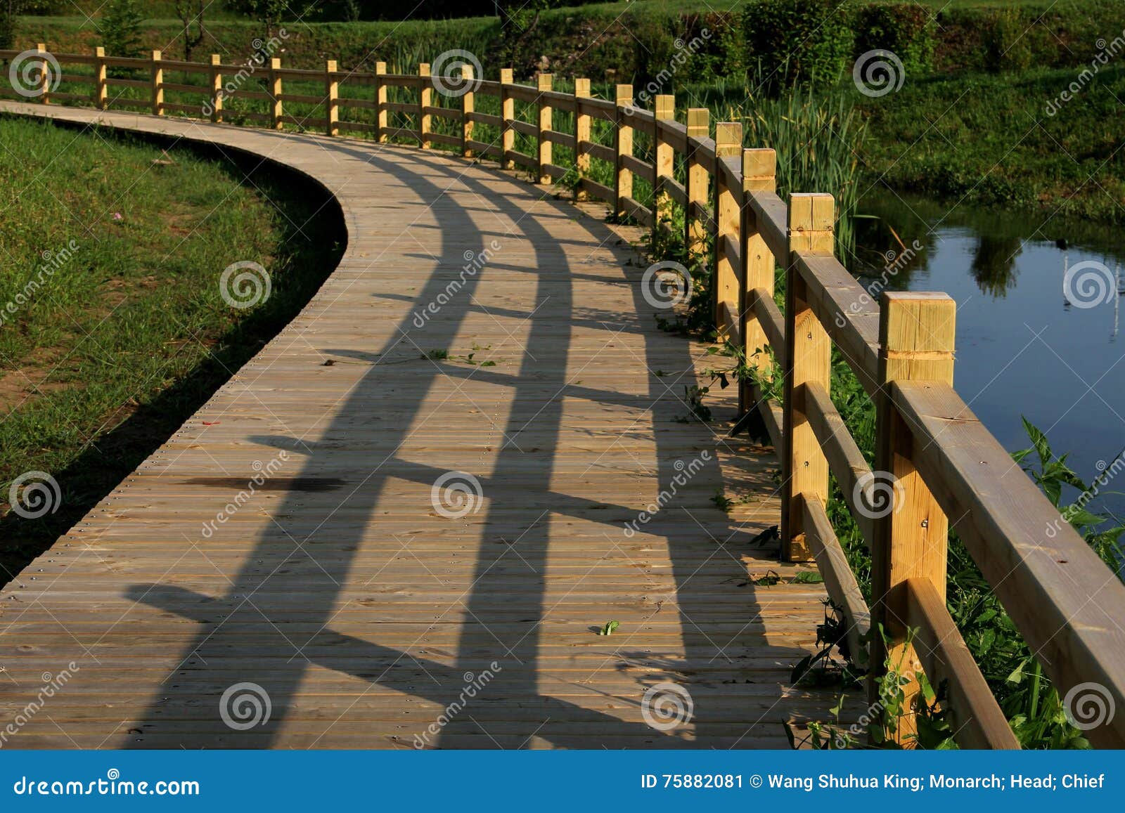 Boardwalk stock image. Image of plank, nature, hike, plant - 75882081