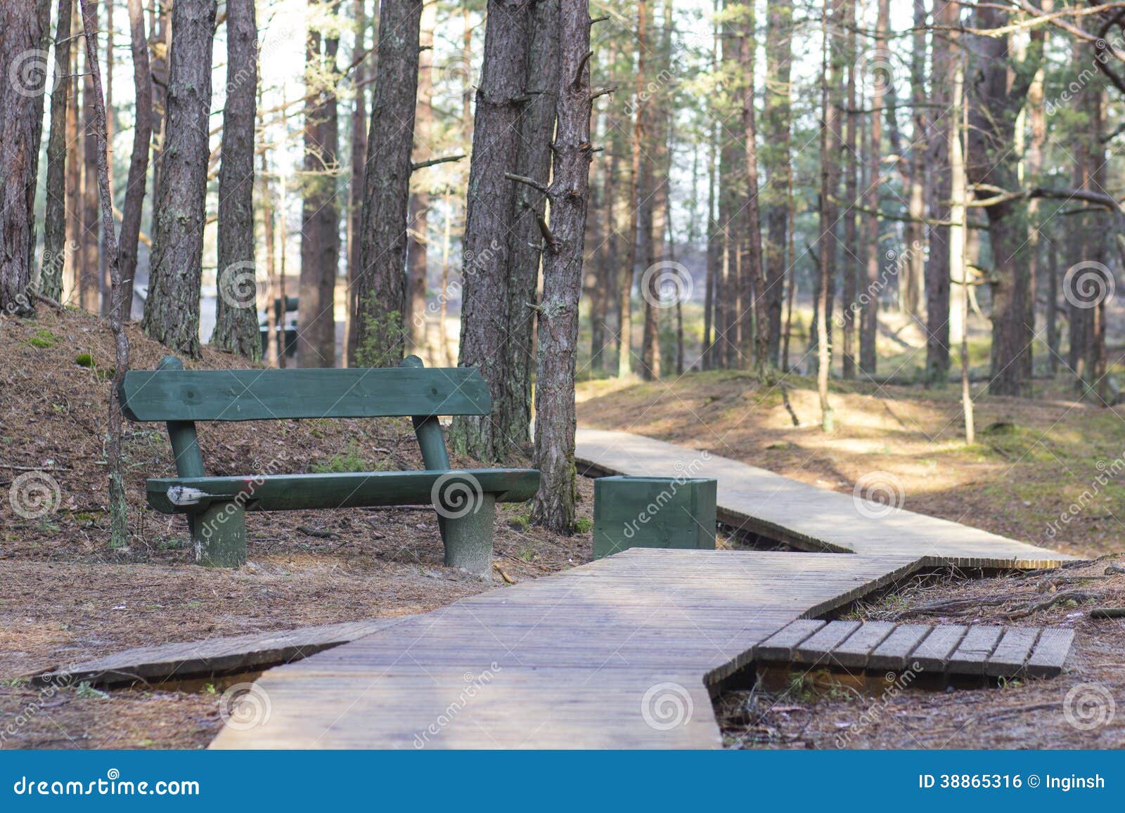 Boardwalk in forest stock photo. Image of hike, pathway - 38865316