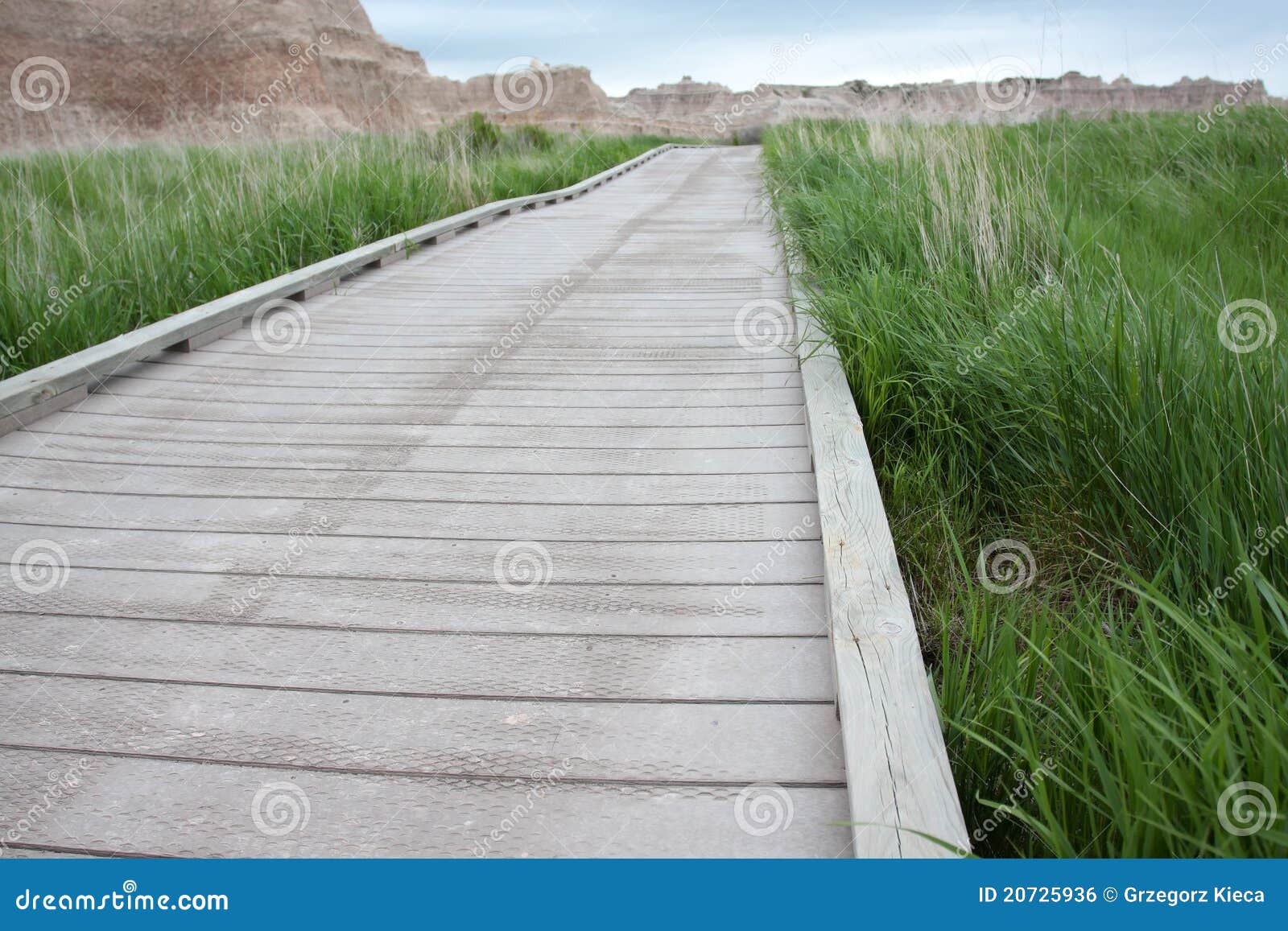 Boardwalk Through A Grassy Field Stock Photo - Image of horizon ...