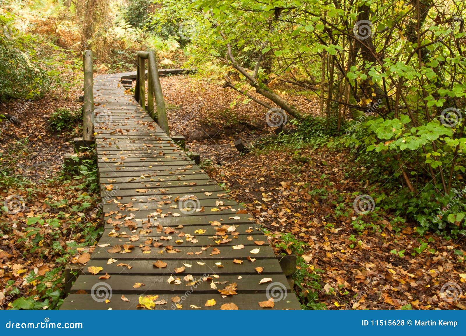 Boardwalk Landscape stock photo. Image of path, plants - 11515628