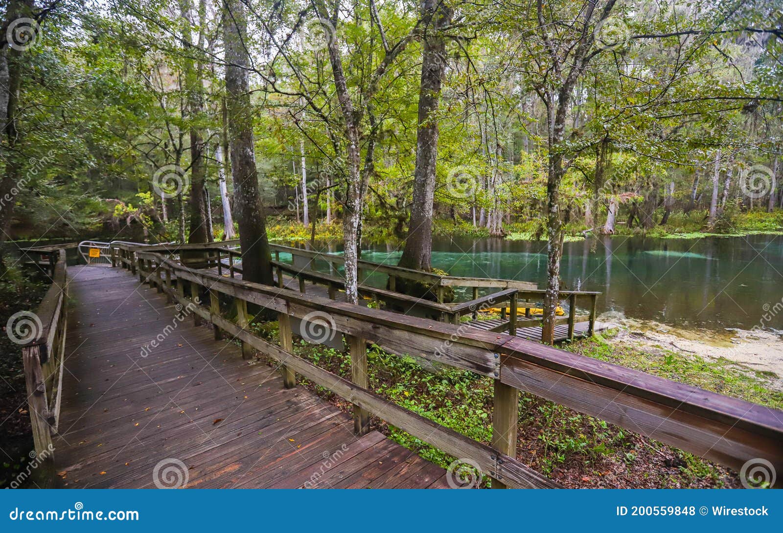 Ichetucknee Springs River Float Access Editorial Stock Photo - Image of ...