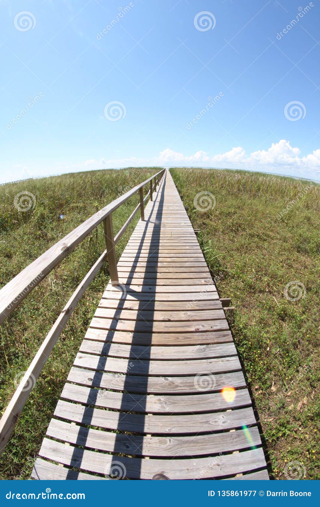 Boardwalk Over Grass into Horizon. Stock Image - Image of water, plants ...