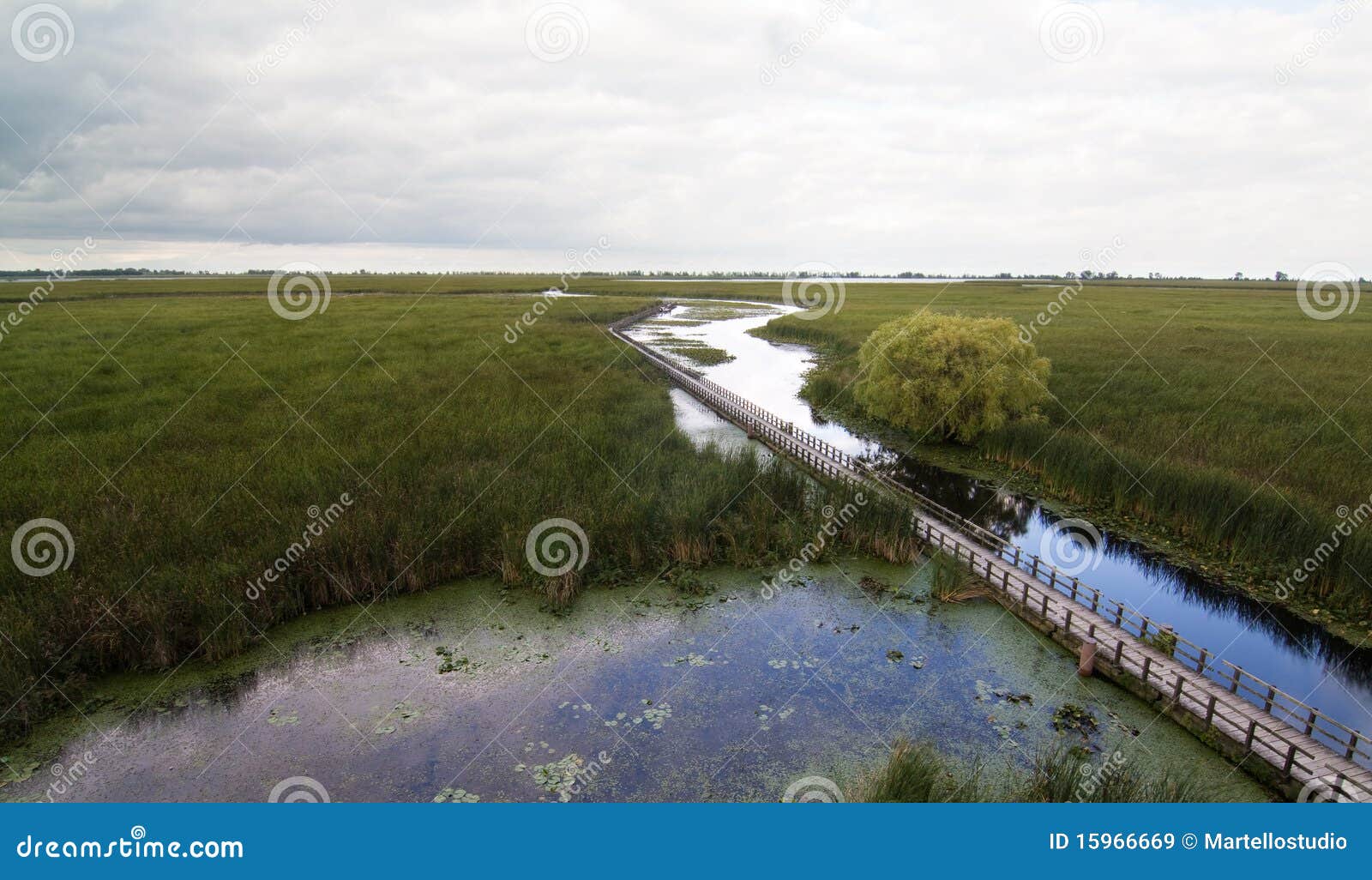 Boardwalk over marsh stock image. Image of ecosystem - 15966669