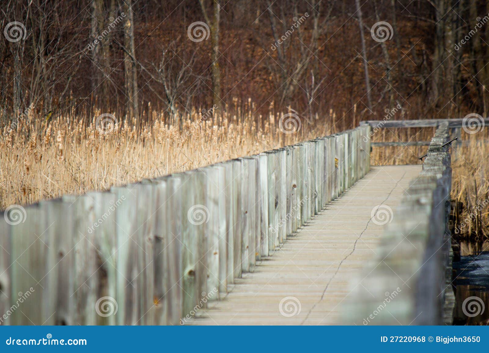 Boardwalk over a marsh stock photo. Image of tranquil - 27220968