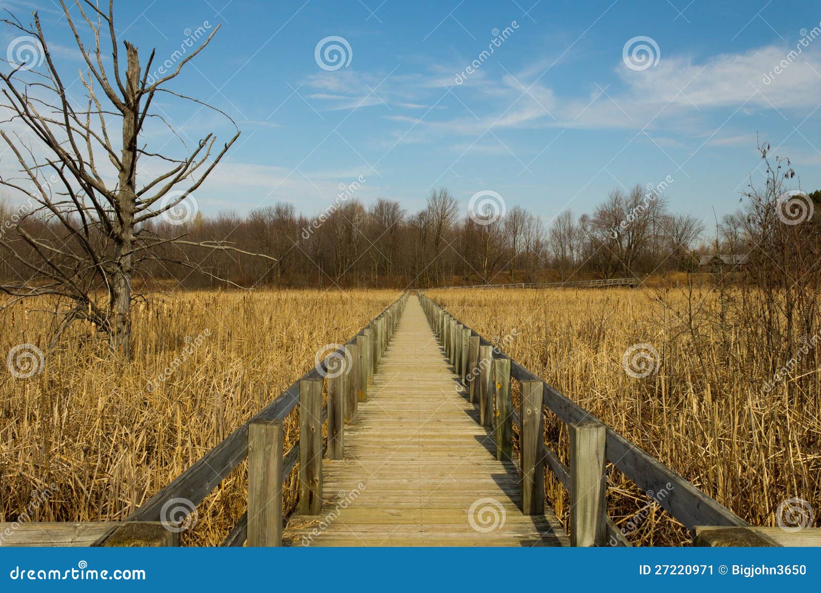 Boardwalk over a marsh stock image. Image of path, nature - 27220971