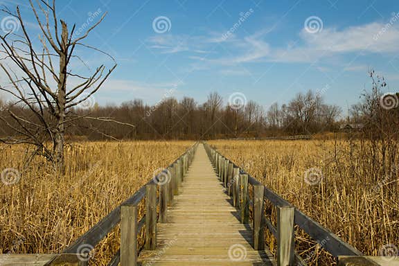 Boardwalk over a marsh stock image. Image of path, nature - 27220971