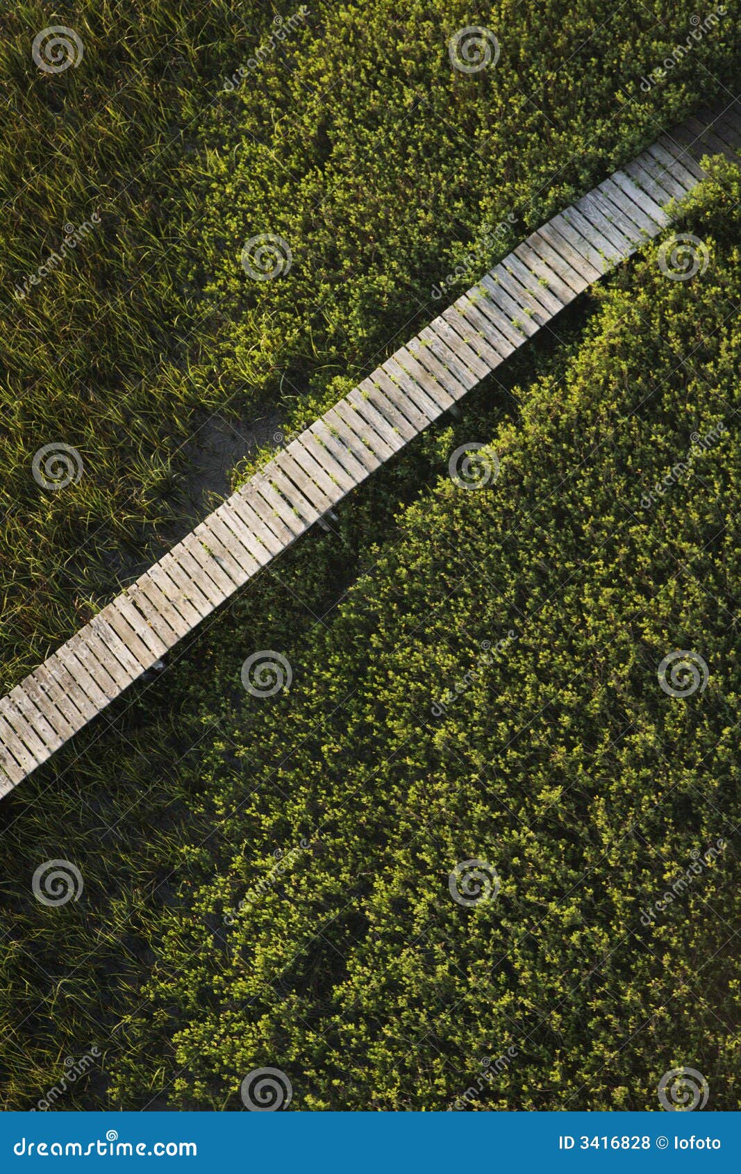 Diagonal Boardwalk Royalty-Free Stock Image | CartoonDealer.com #87699442