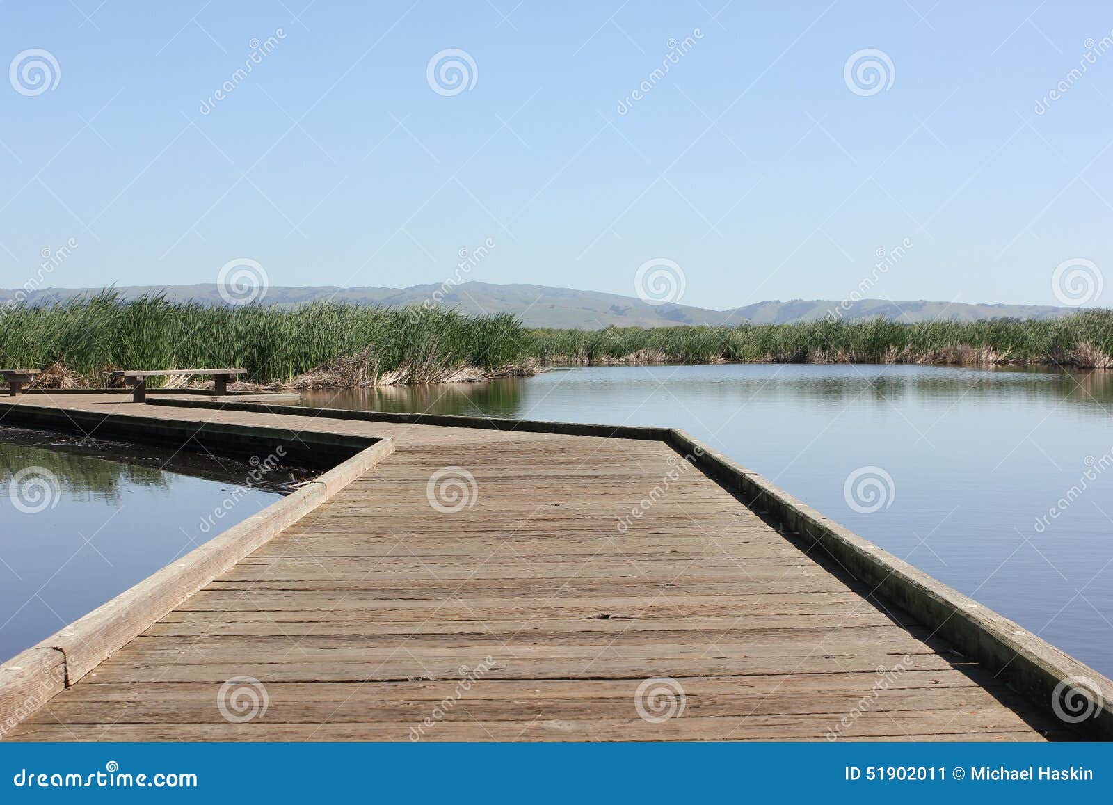 Boardwalk over pond stock image. Image of built, grow - 51902011
