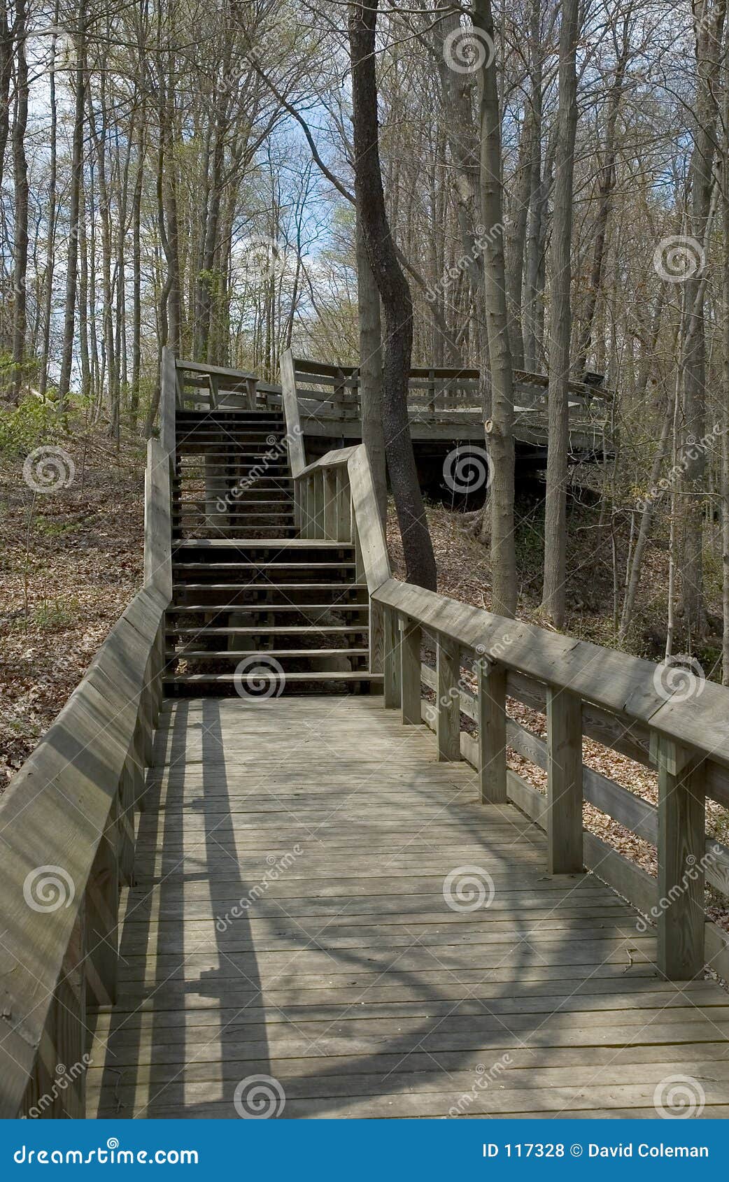 Boardwalk And Overlook Picture. Image: 117328