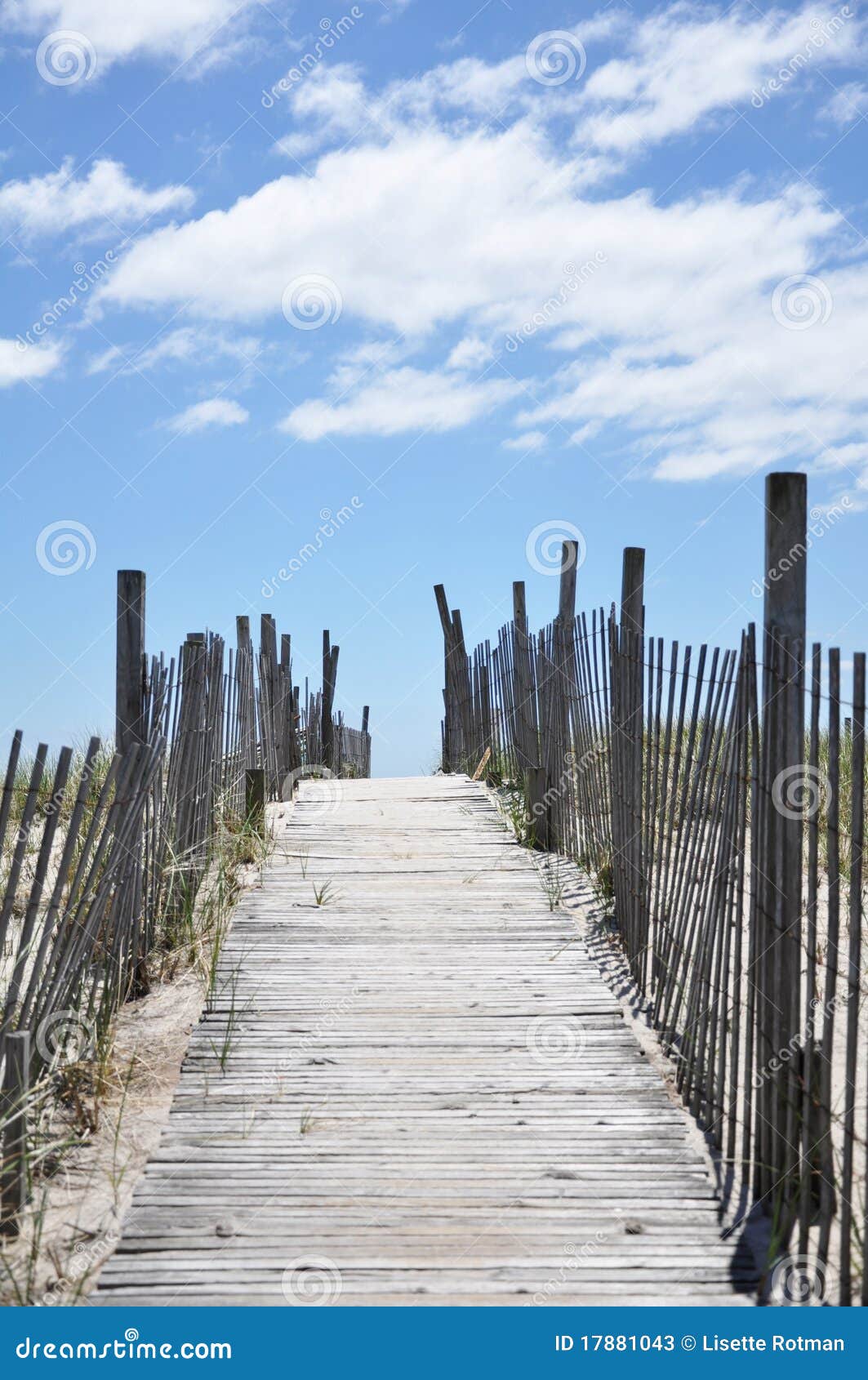 Boardwalk path to beach stock image. Image of vacation - 17881043