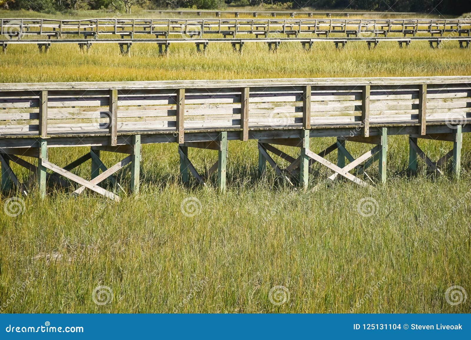 A Boardwalk with Rails Above a Marsh Stock Photo - Image of marsh ...