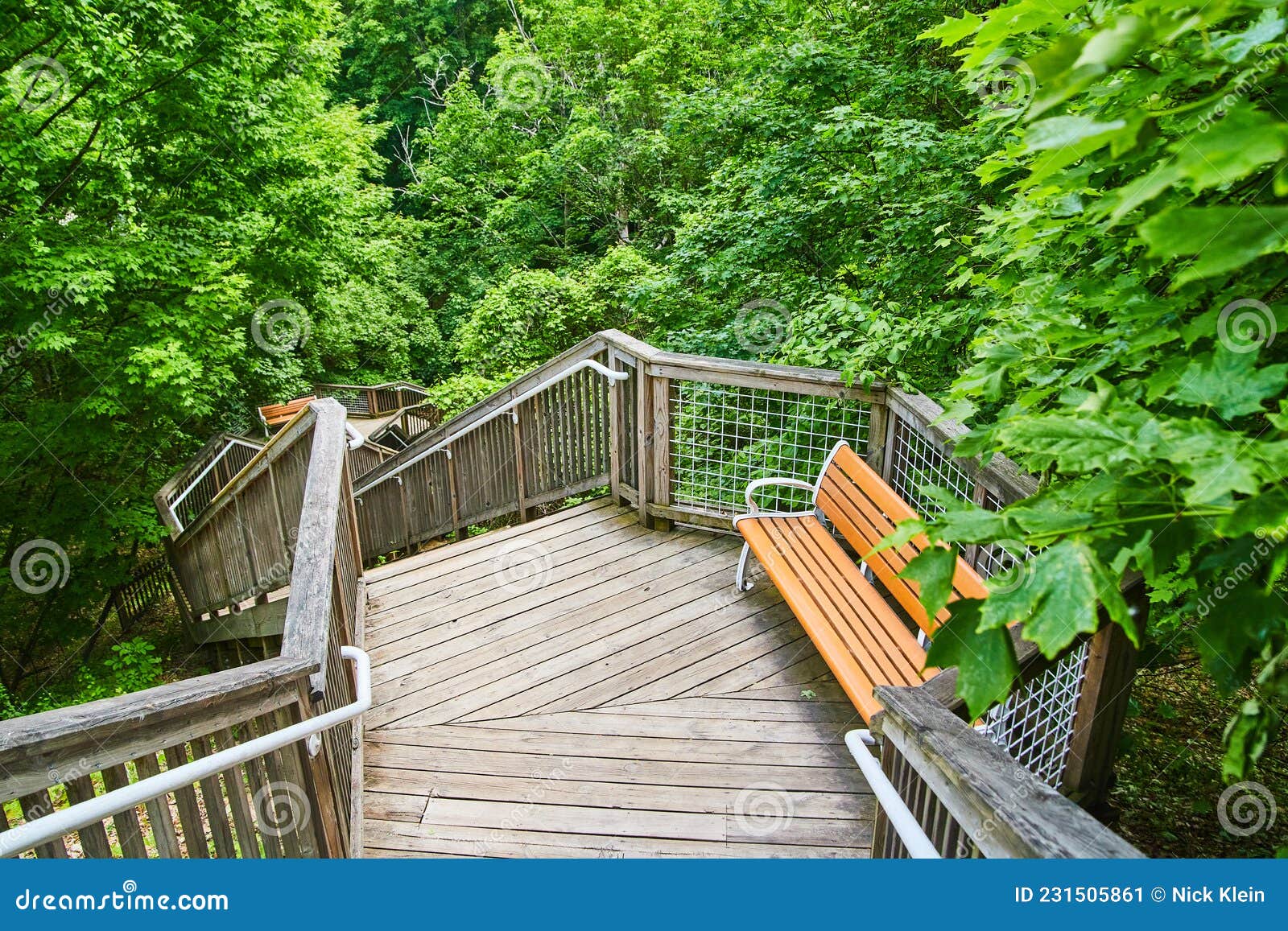 Boardwalk Staircase with Resting Benches and Bright Green Trees Stock ...