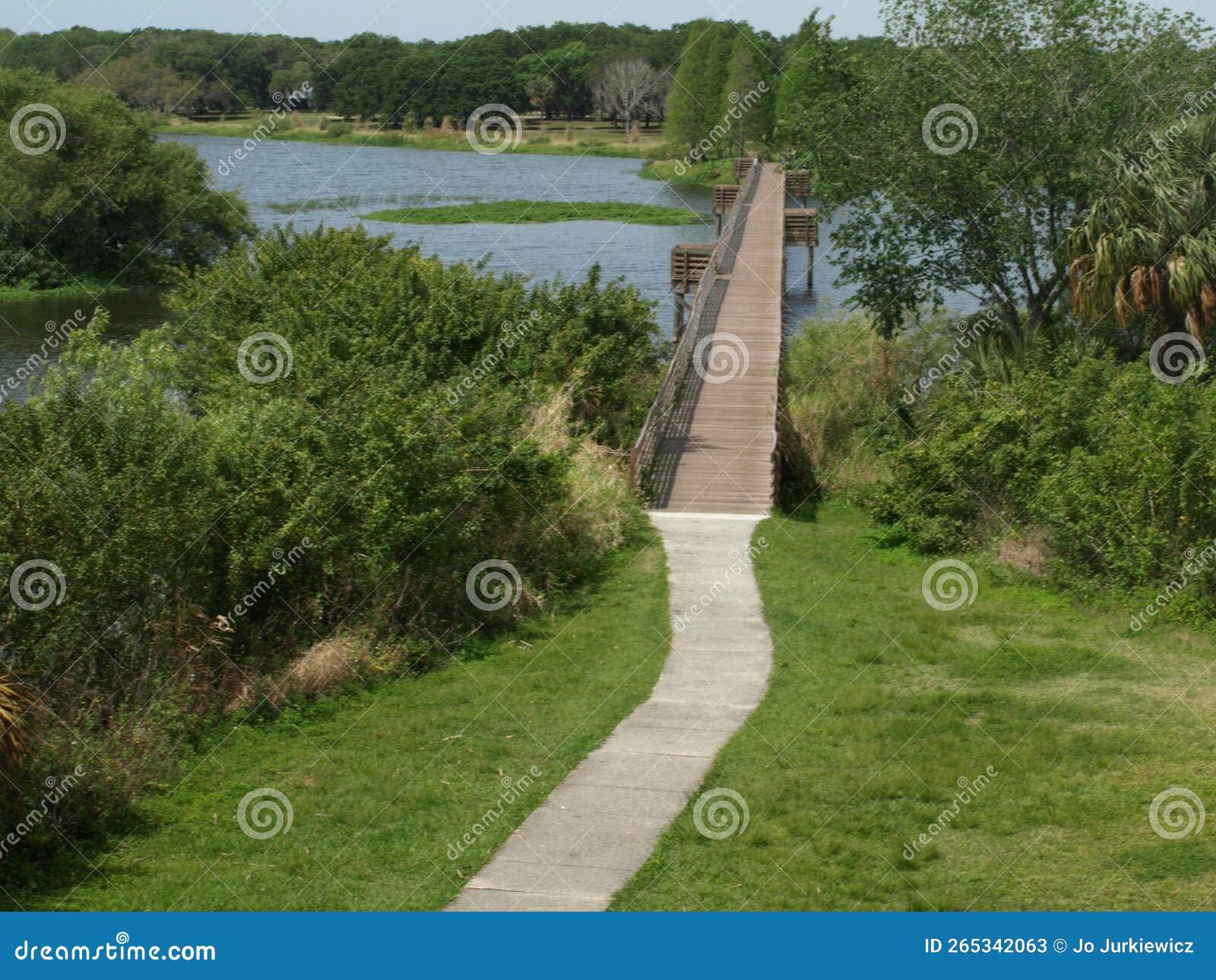 Boardwalk To the Bridge Crossing the Water Stock Image - Image of break ...