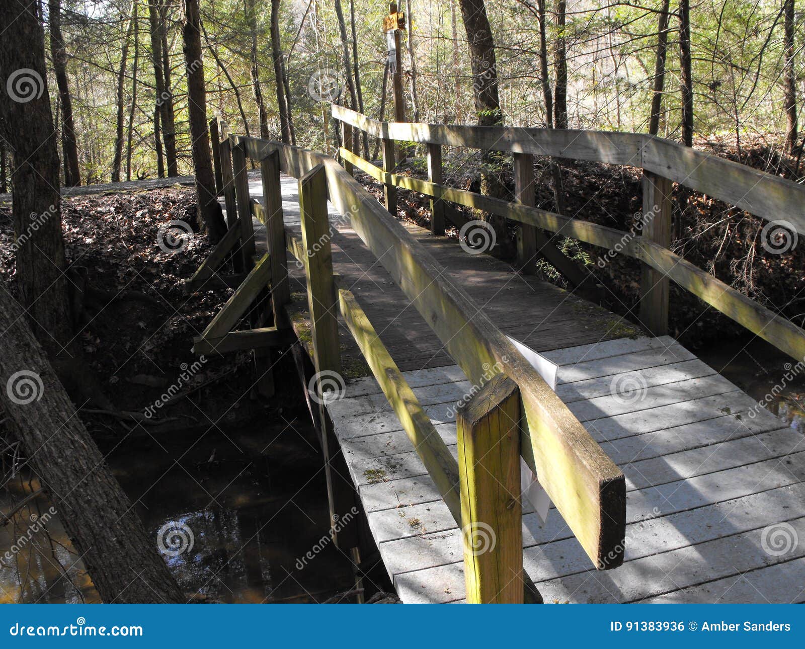 Boardwalk stock photo. Image of nature, ramp, lands, boardwalk - 91383936