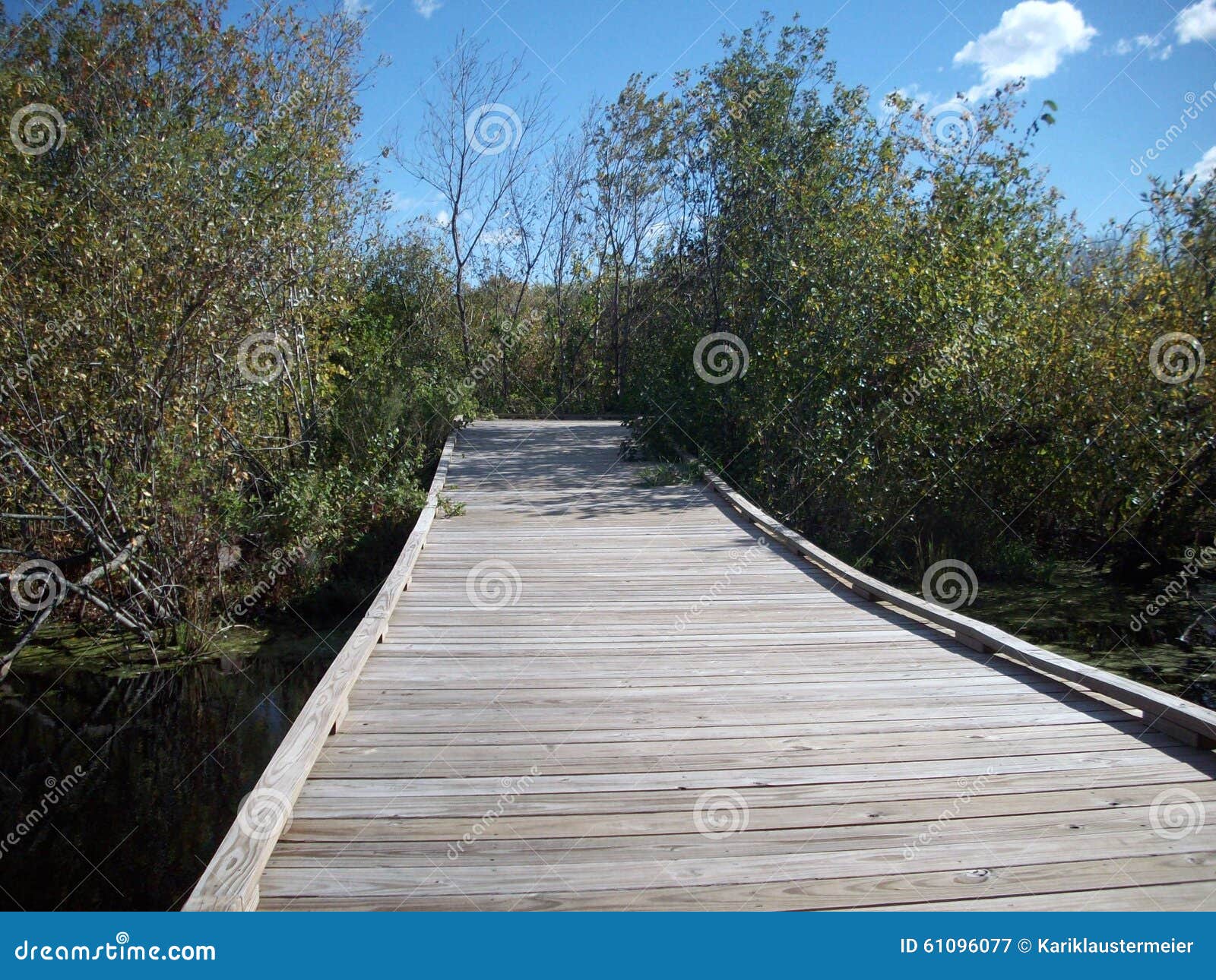 Boardwalk in the Wetland stock image. Image of green - 61096077