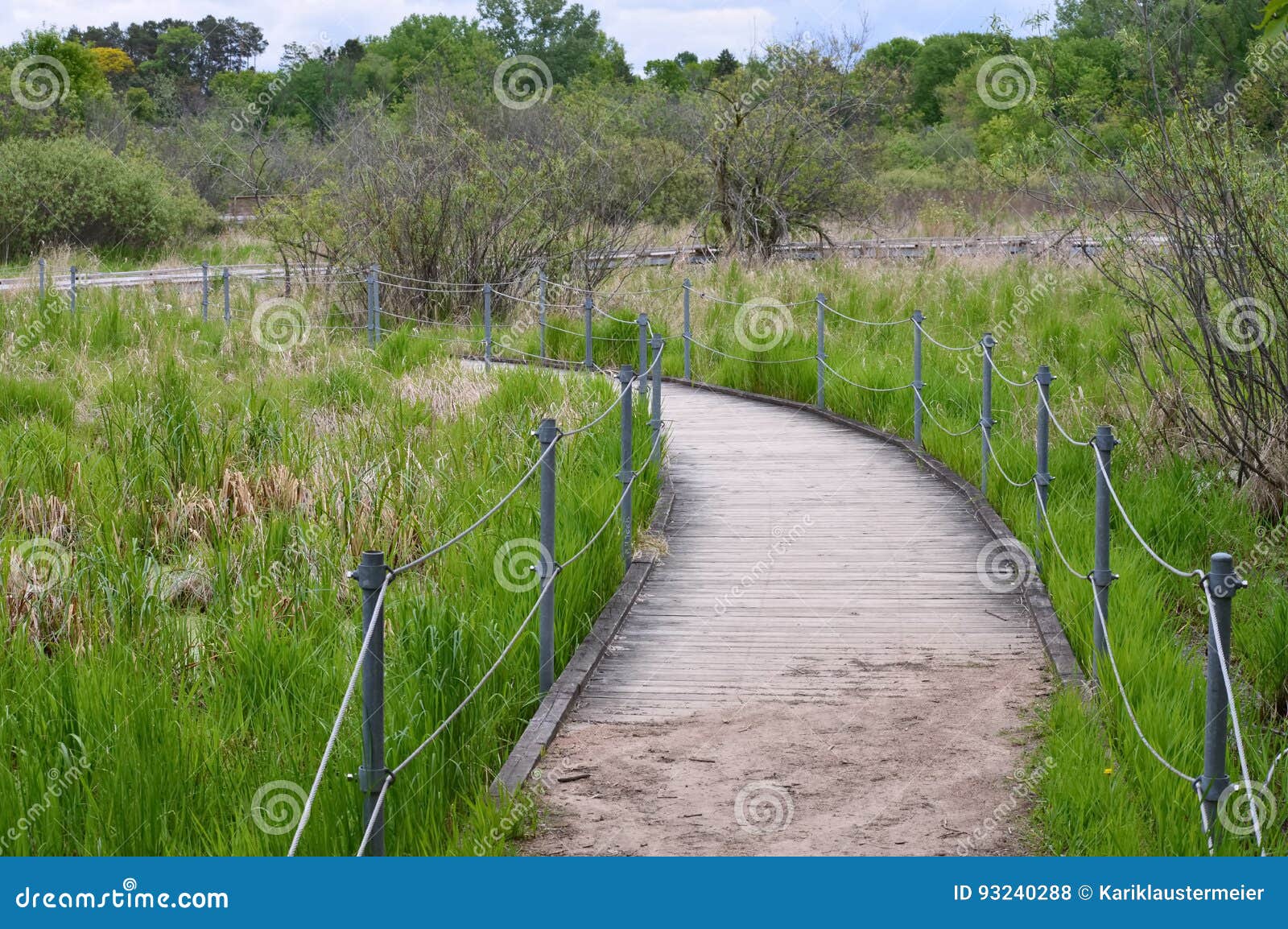 Boardwalk in the Wetland stock photo. Image of calm, railing - 93240288