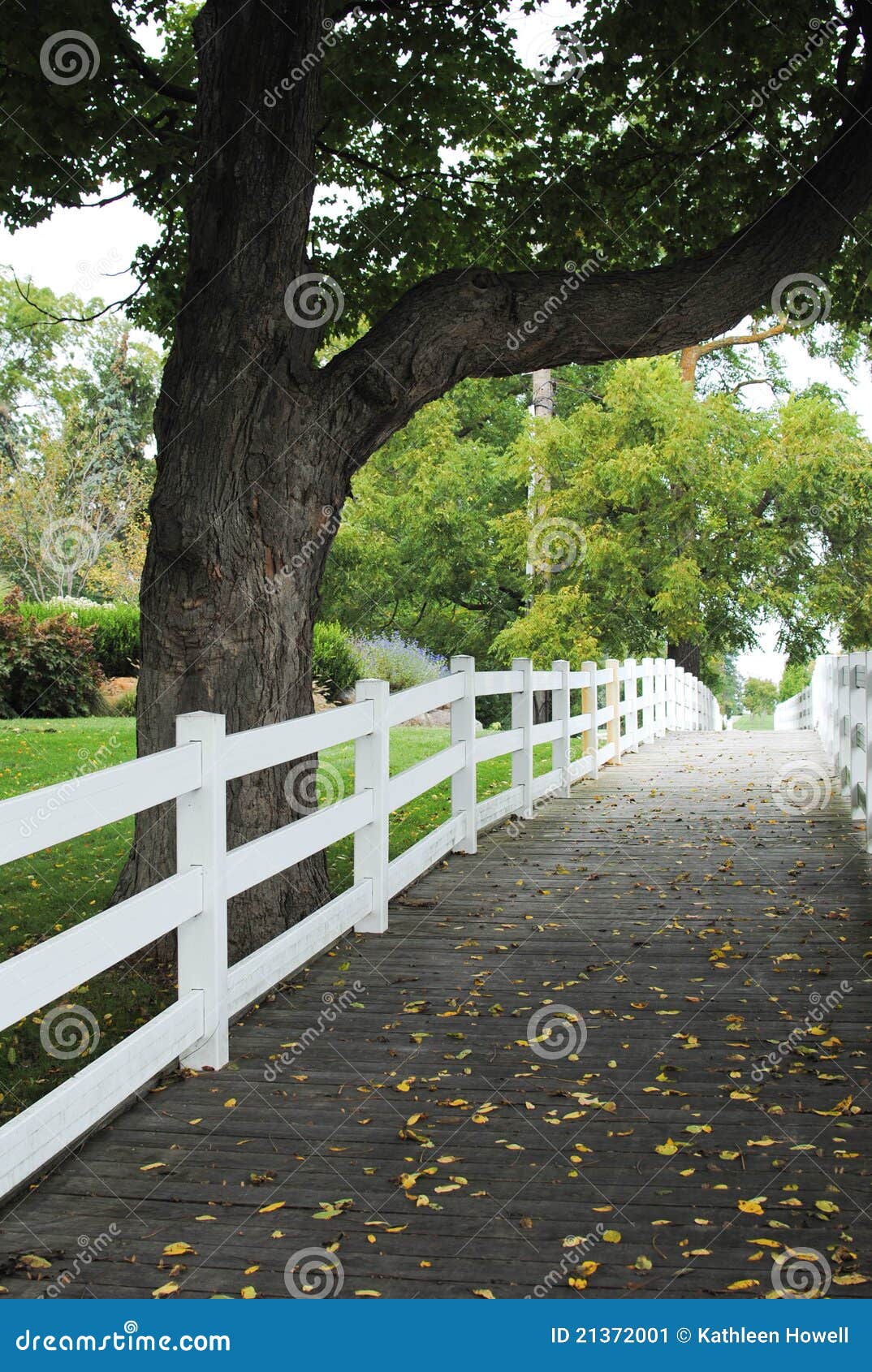 Boardwalk with White Picket Fence Stock Image - Image of leaves, tree ...
