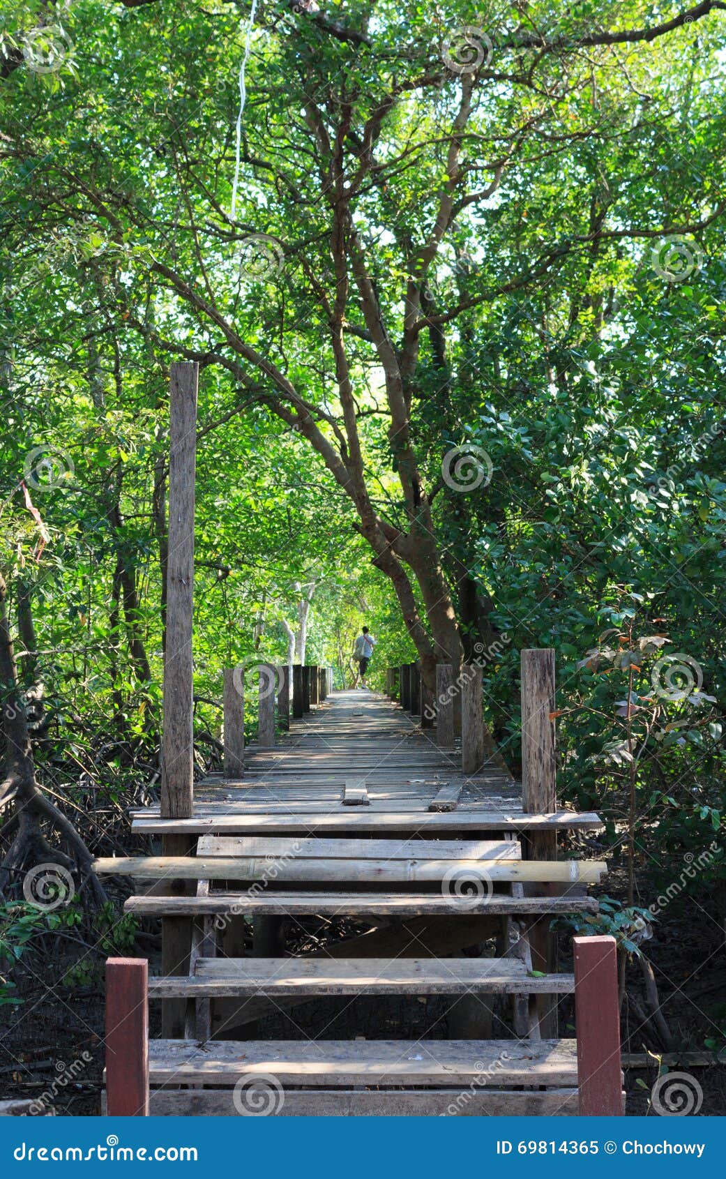 Boardwalk Wooden Path Over River Stock Image - Image of scene, bridge ...