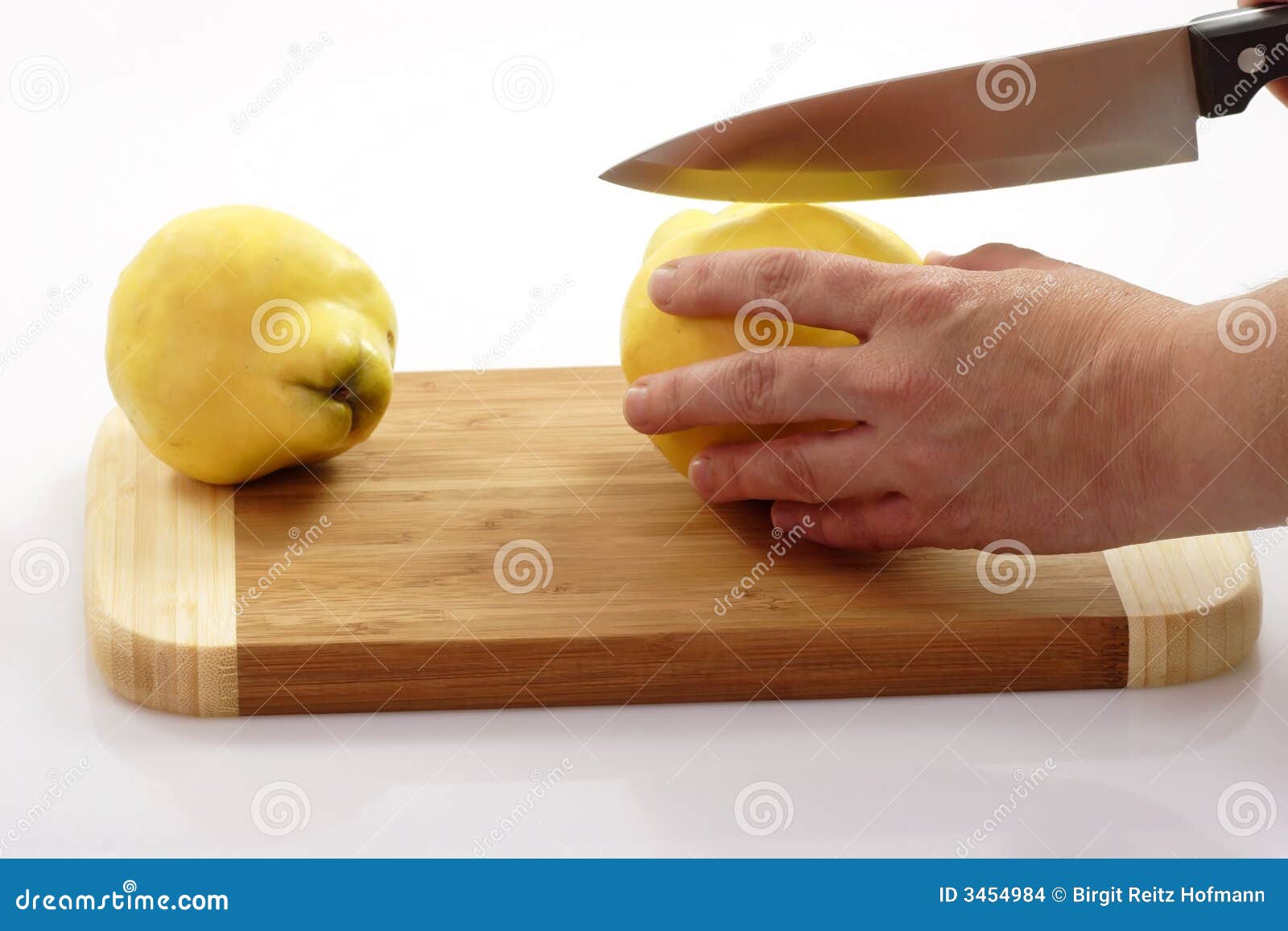 Boasting stock photo. Image of plant, oblonga, boasting - 3454984