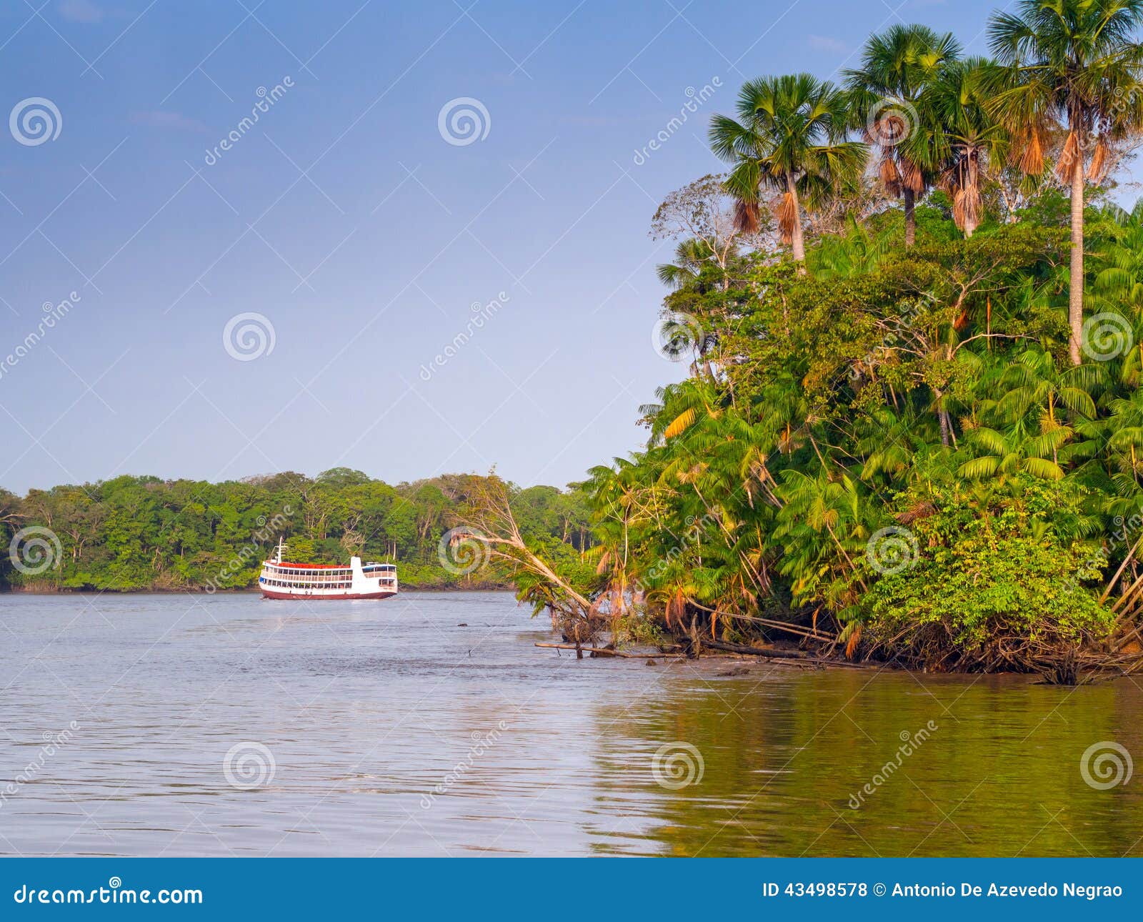 Boat in Amazon River stock photo. Image of ferry, sail - 43498578