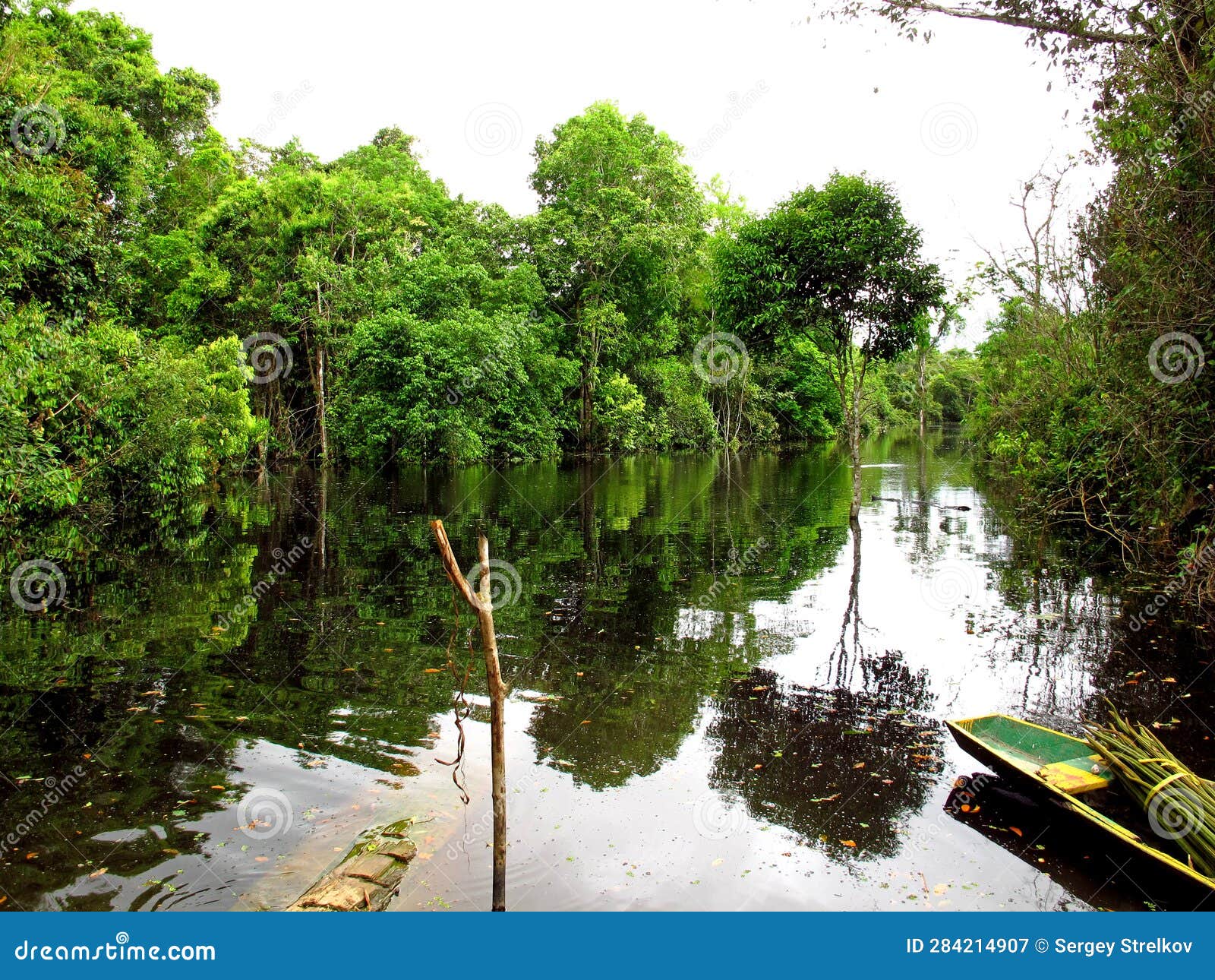 The Boat in Amazon River in Peru, South America Stock Image - Image of ...
