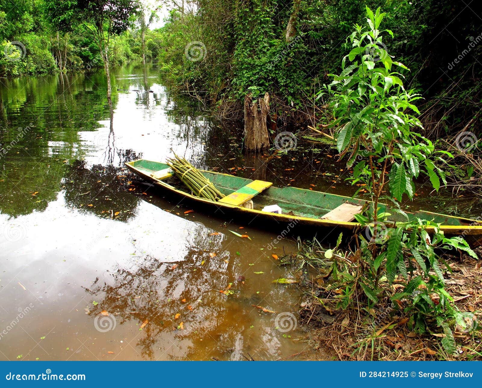 The Boat in Amazon River in Peru, South America Stock Image - Image of ...