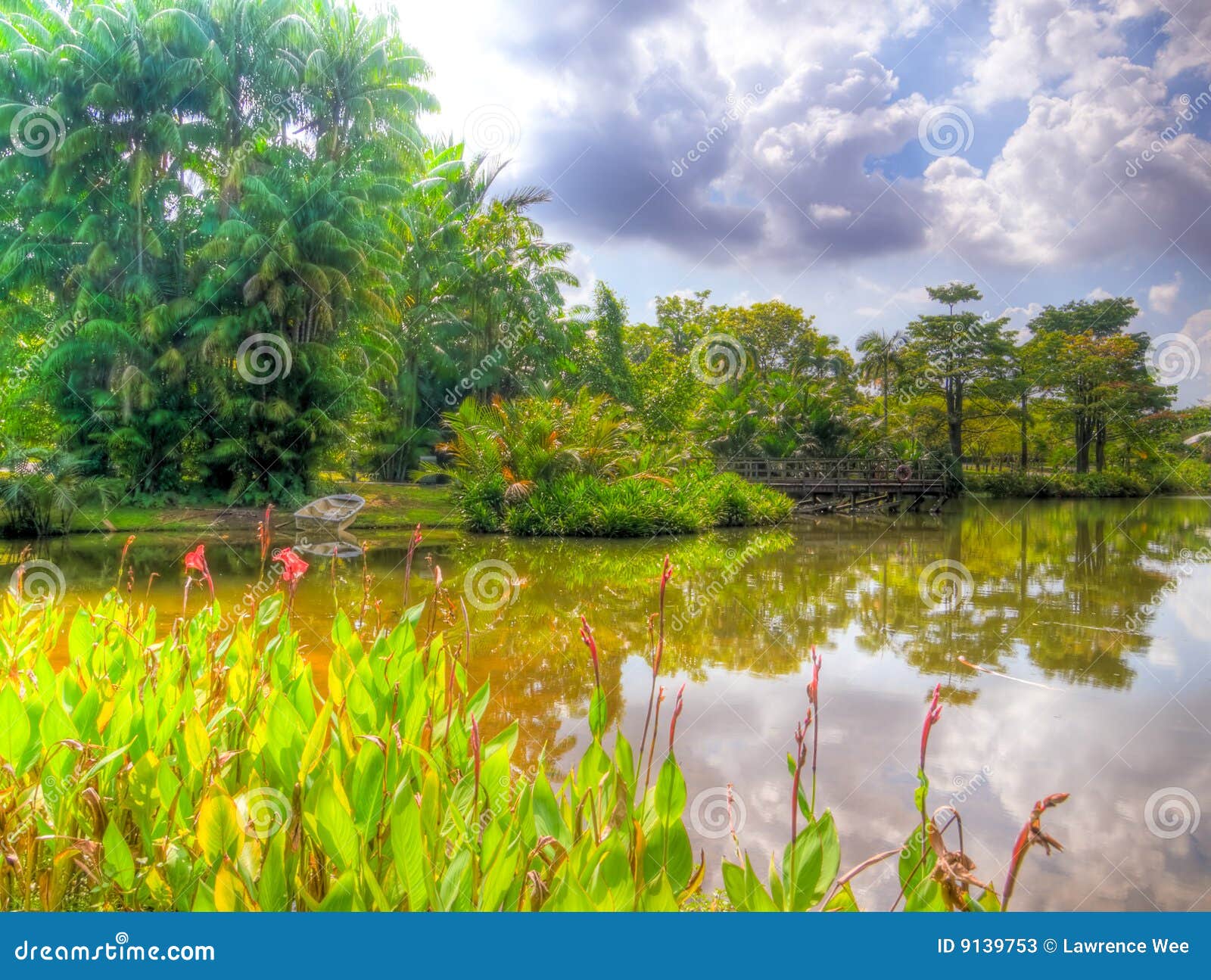 Boat Ashore on Tropical Lake Stock Image - Image of empty, shade: 9139753
