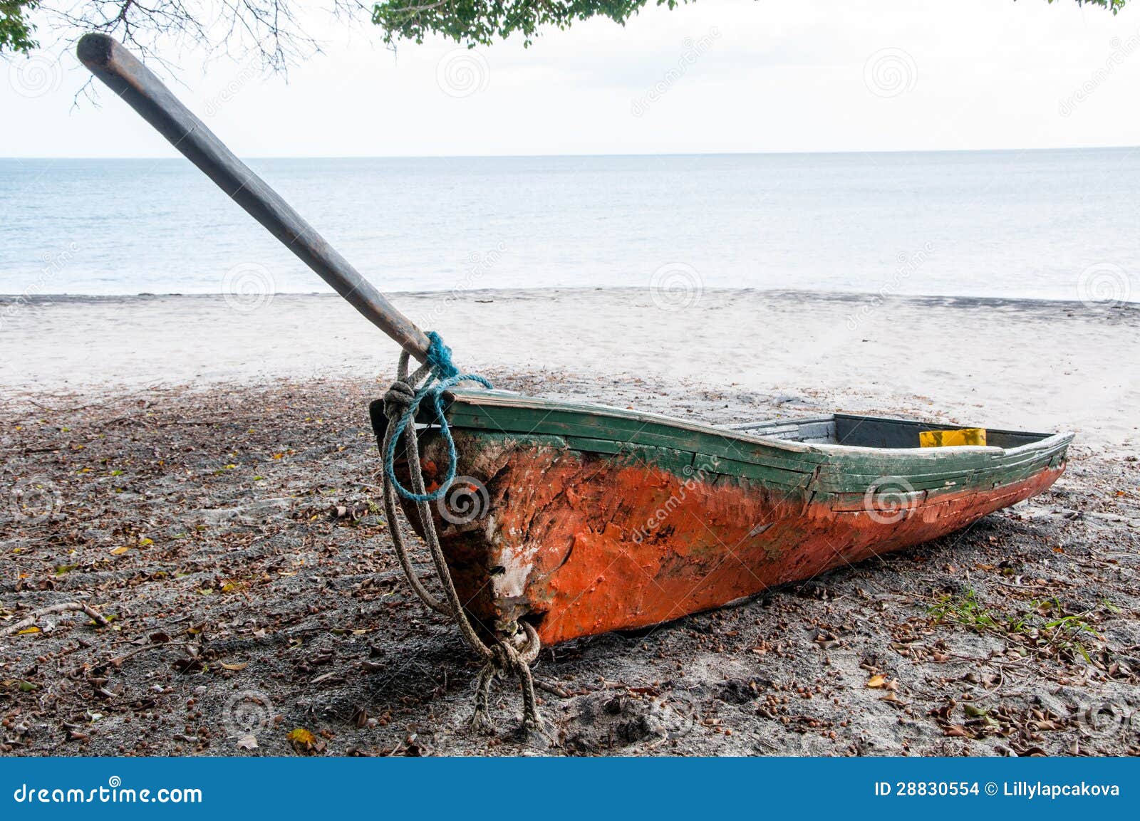 Boat, beach and tree stock photo. Image of beautiful - 28830554