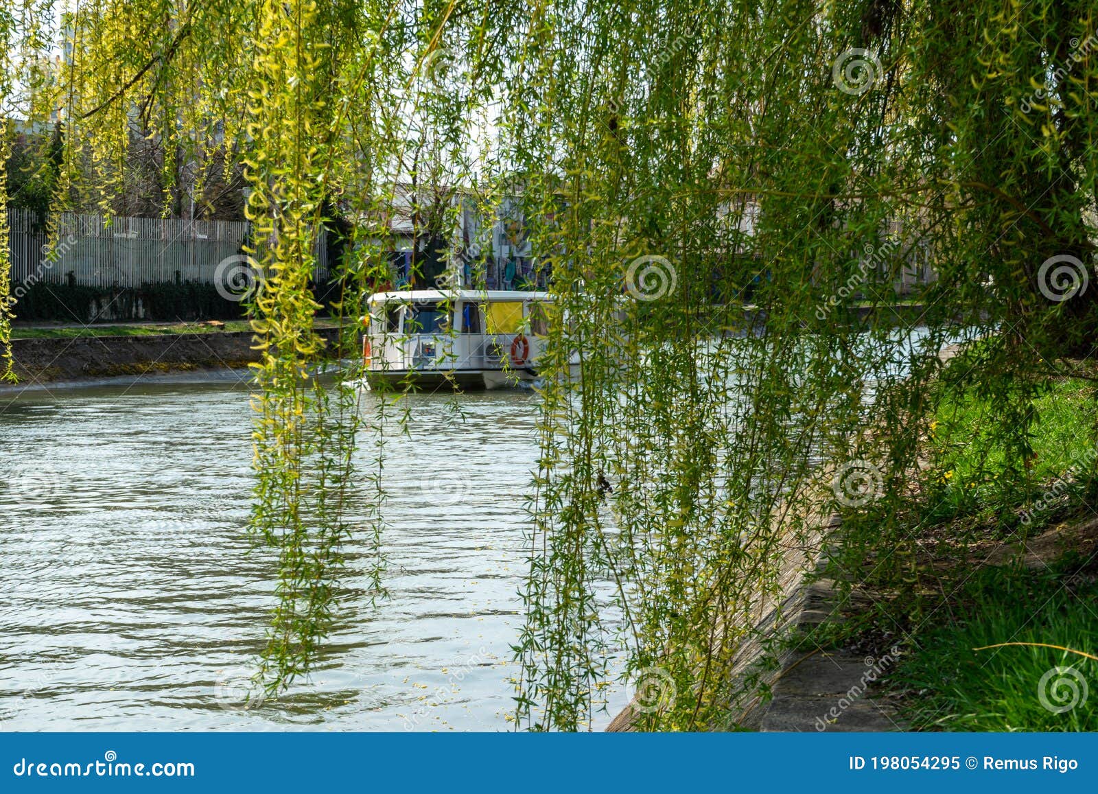 A boat on the Bega river editorial image. Image of city - 198054295