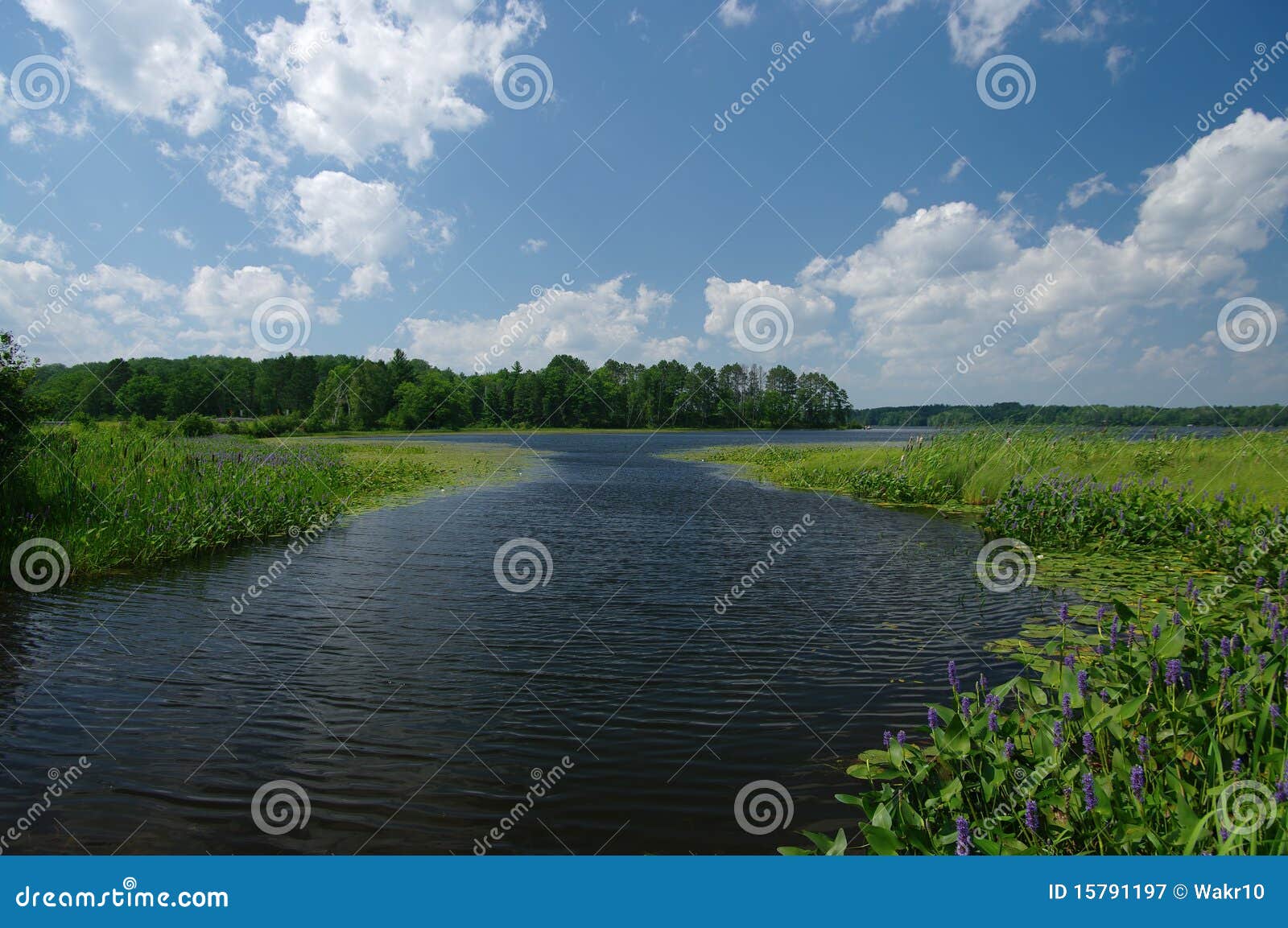 Boat Channel stock image. Image of boat, grassy, horizon - 15791197