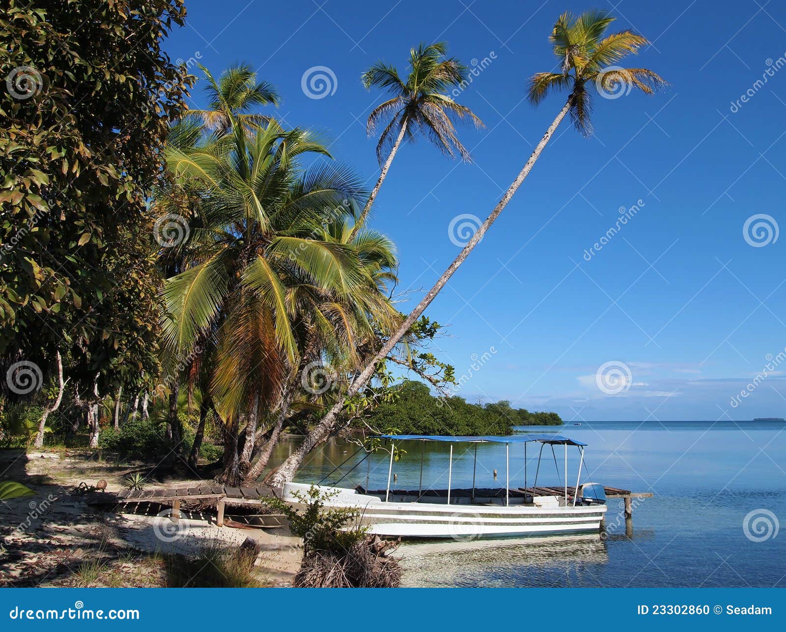 Boat with coconut trees stock photo. Image of ocean, exotic - 23302860